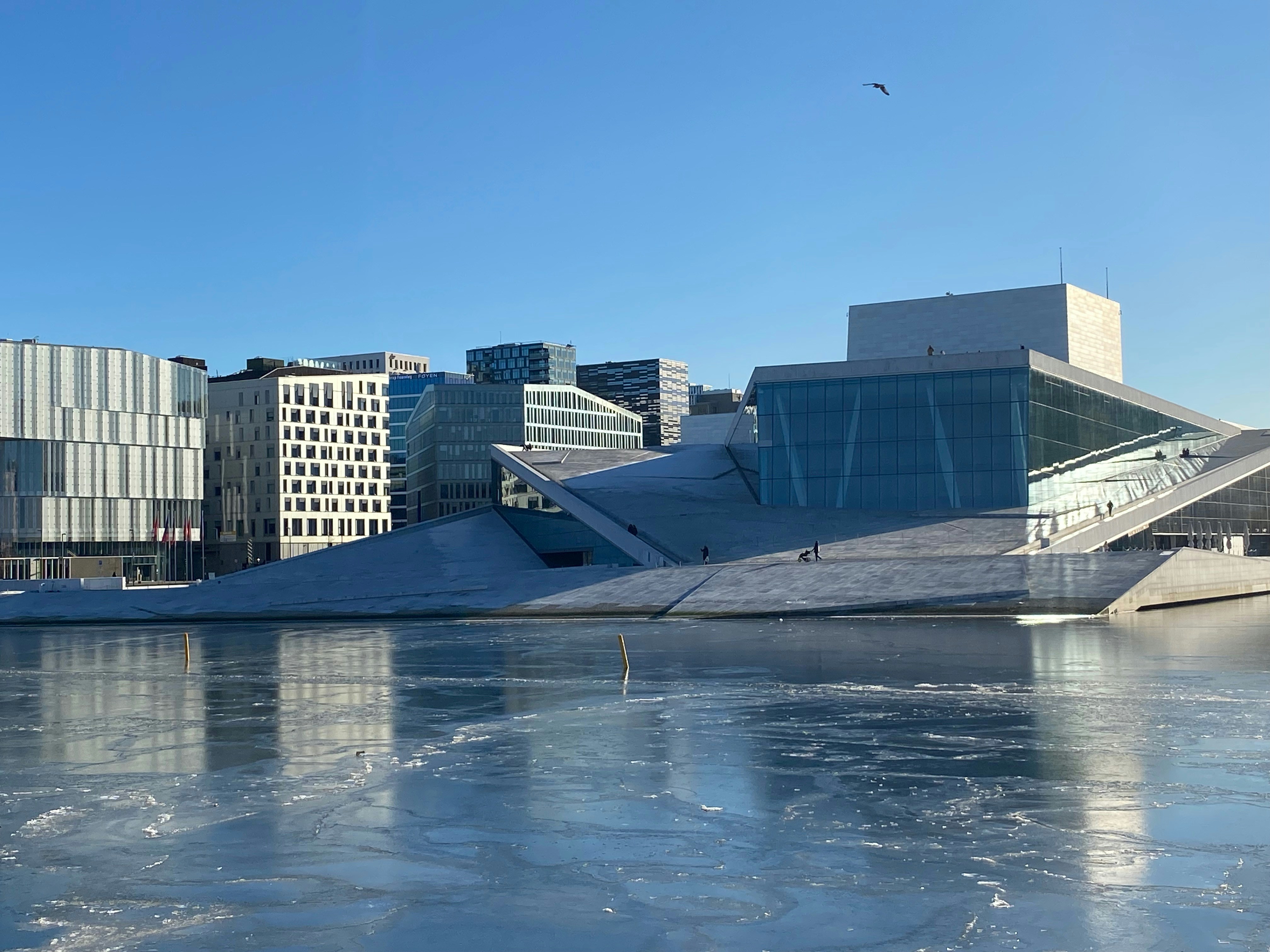 Photo by Lars-Petter Kjos with Apple iPhone 11