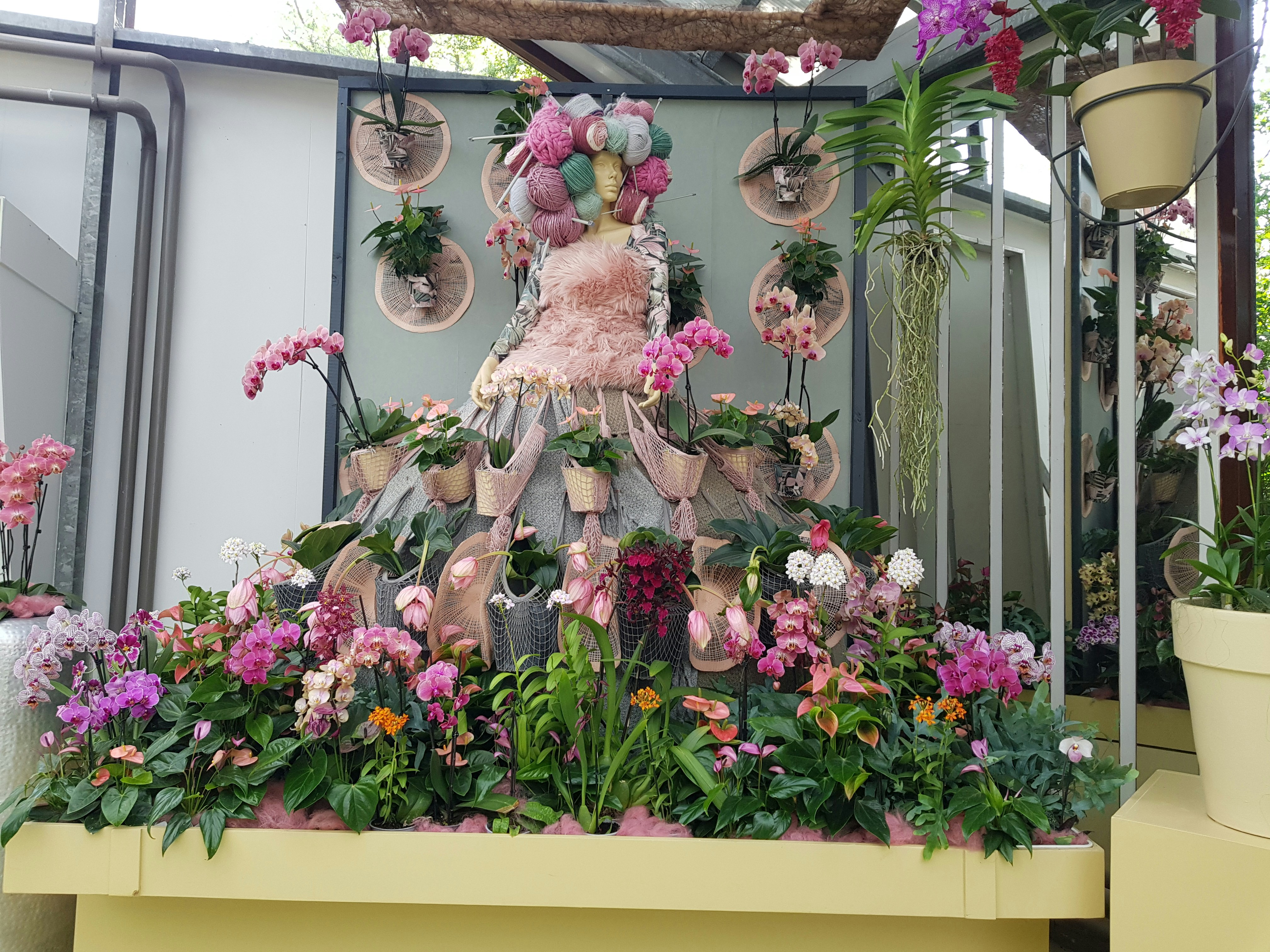 Floral Carousel: A Plush Dress Display Surrounded by Garden Blooms
