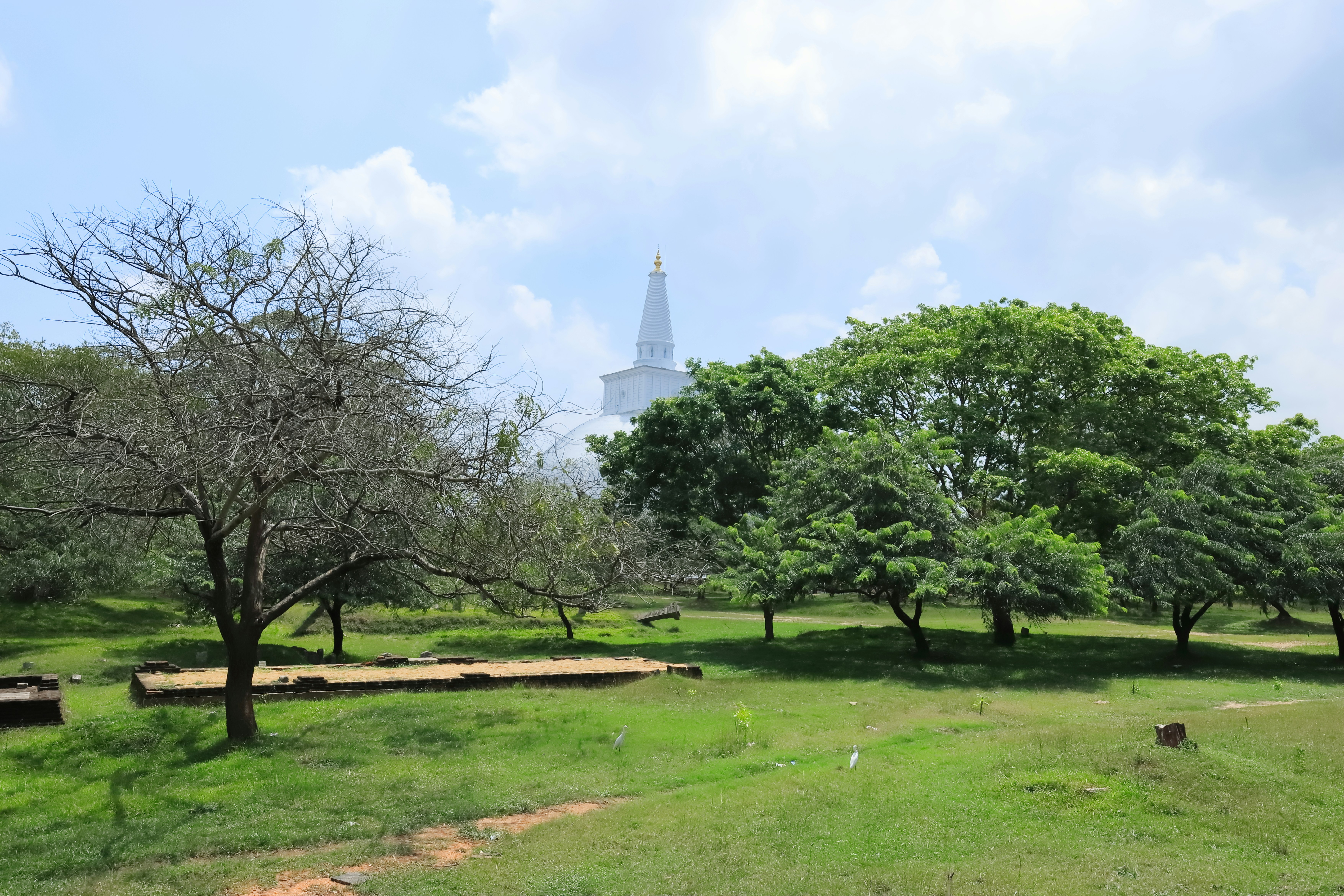 Deegawapi Seya Photos | Télécharger des images gratuites sur Unsplash