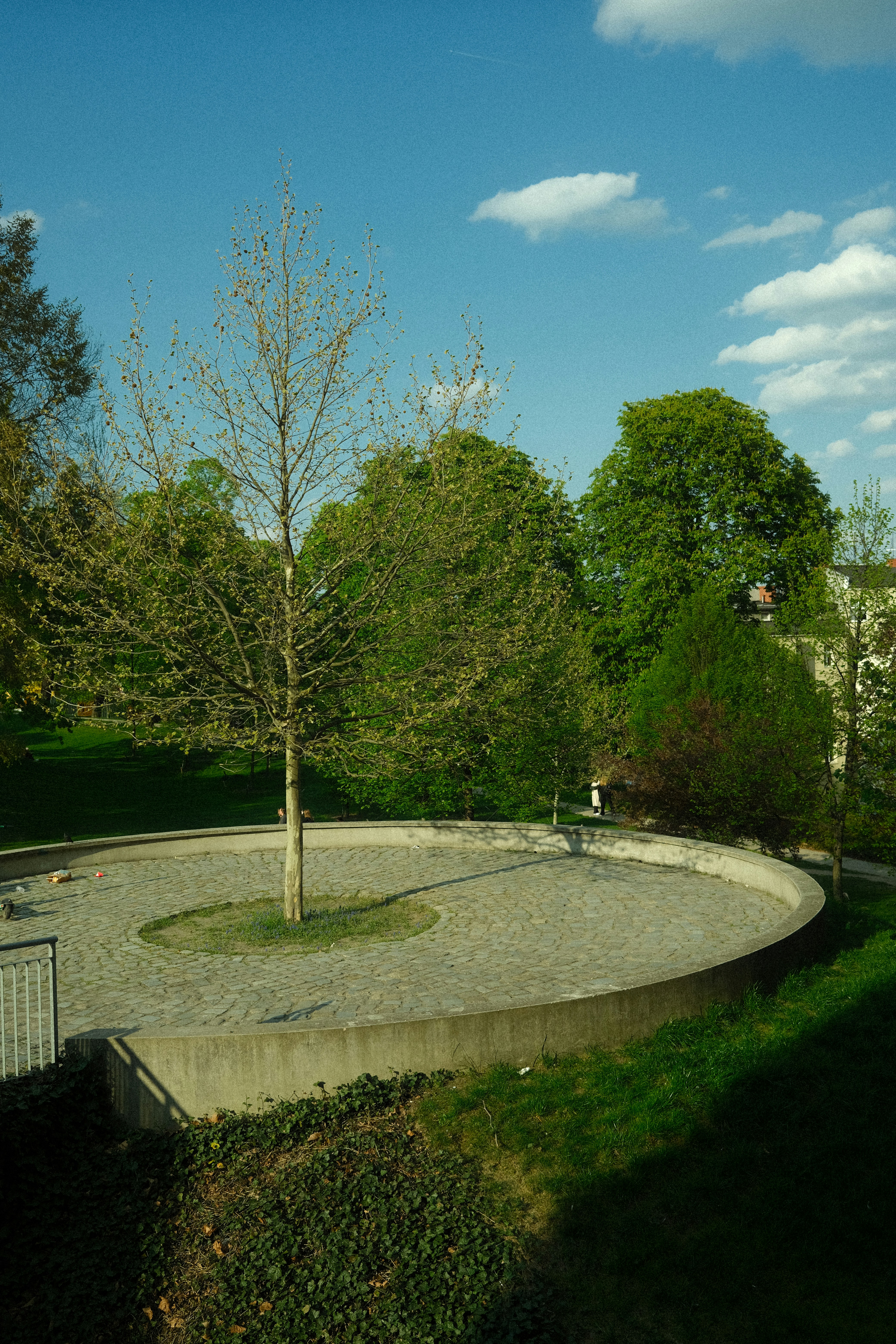 A solitary tree stands in the center of a circular stone feature, surrounded by lush greenery and a clear blue sky.