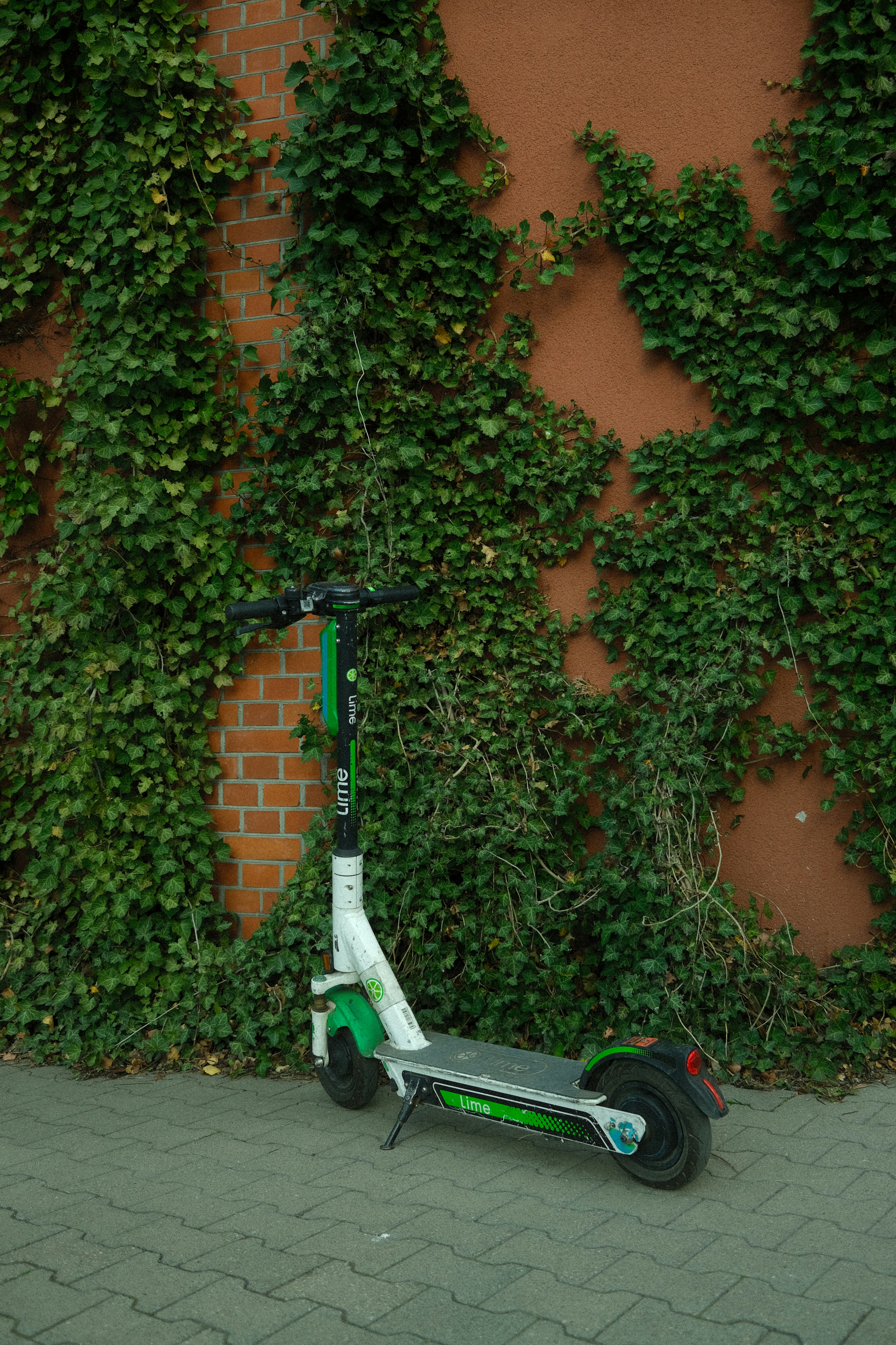 Photo by Egor Komarov with Fujifilm X100V