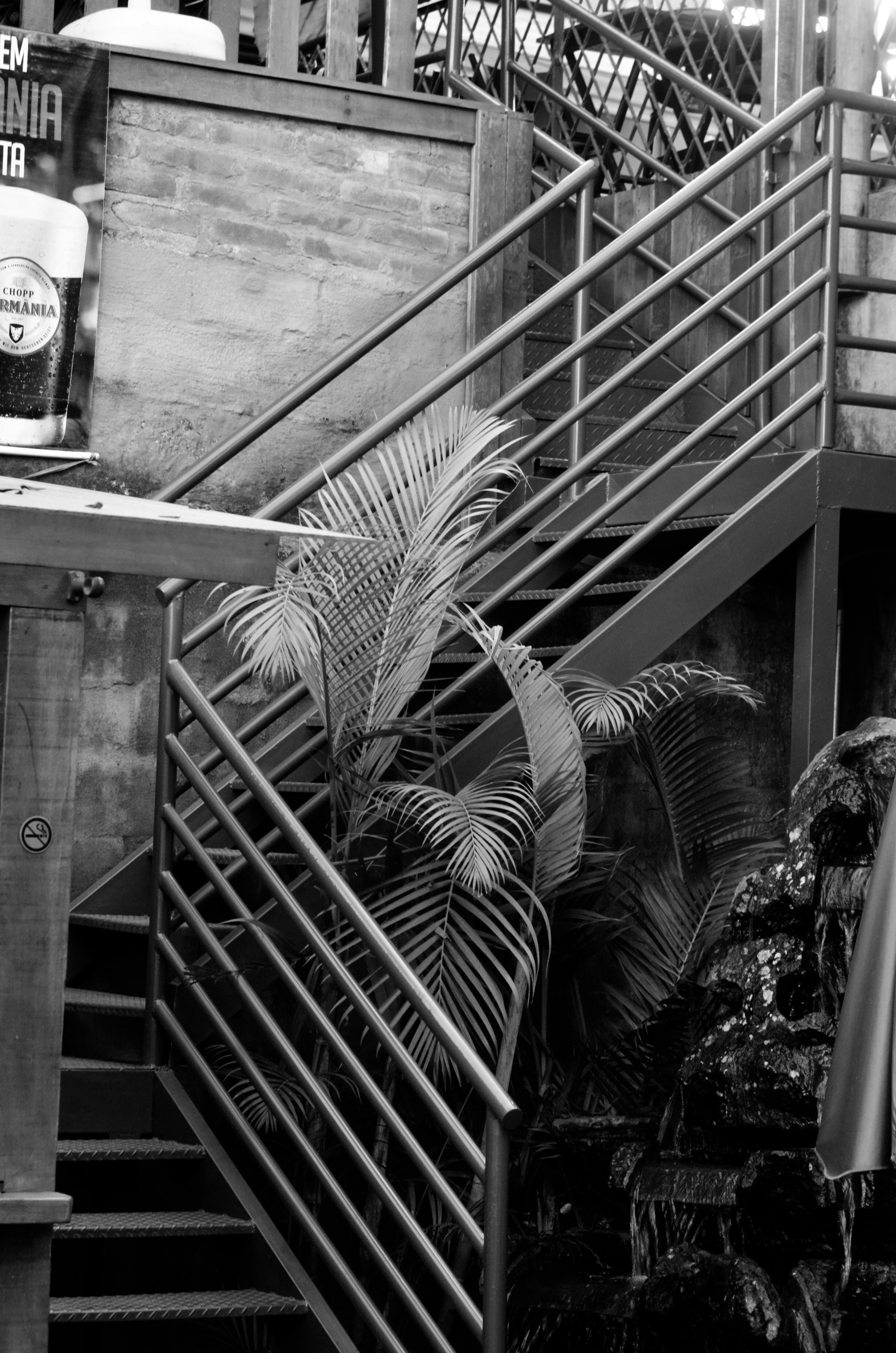 A group of plants in a garden photo – Free Embu - state of são paulo ...