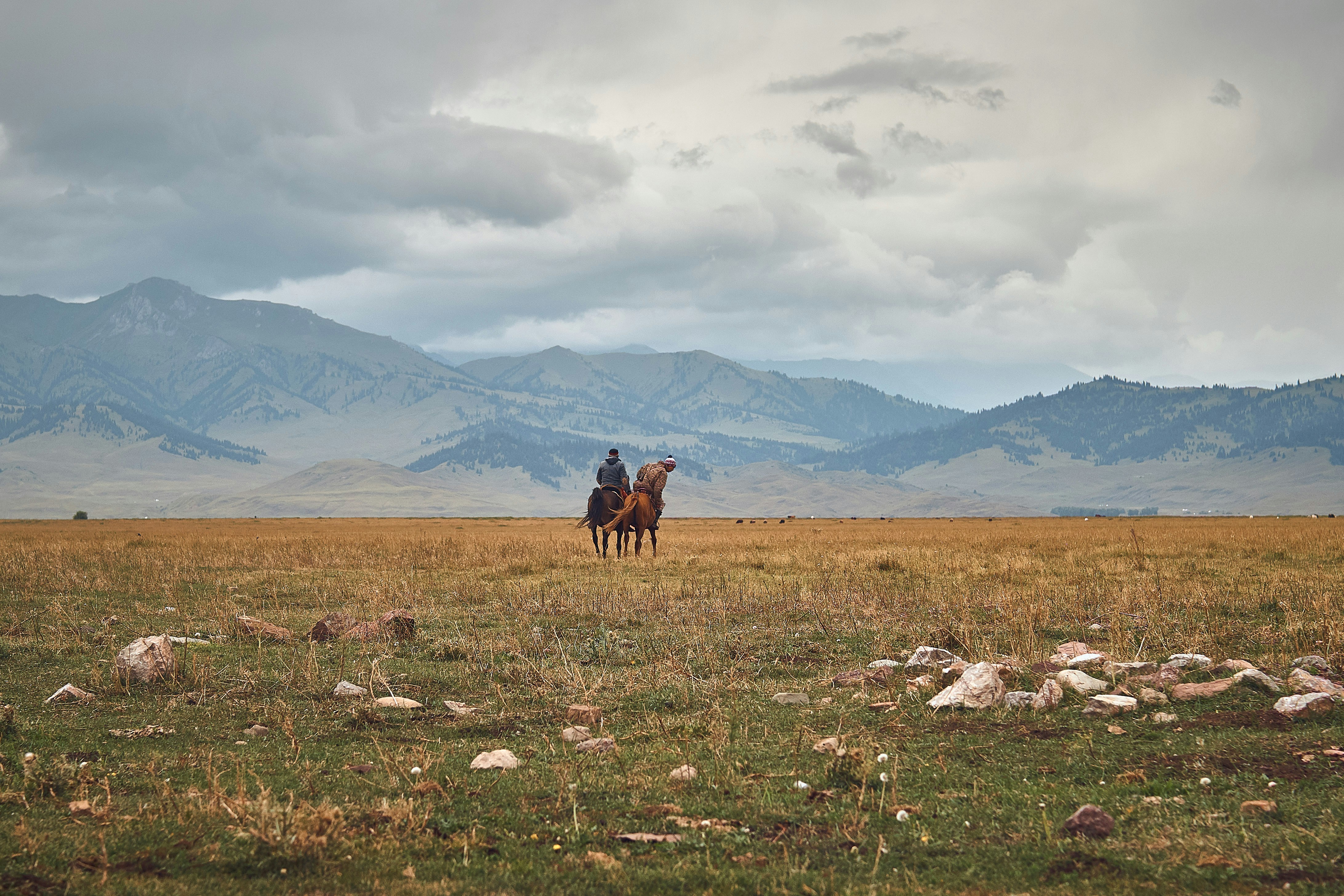 A couple of people riding horses in a field photo – Free Land Image on ...