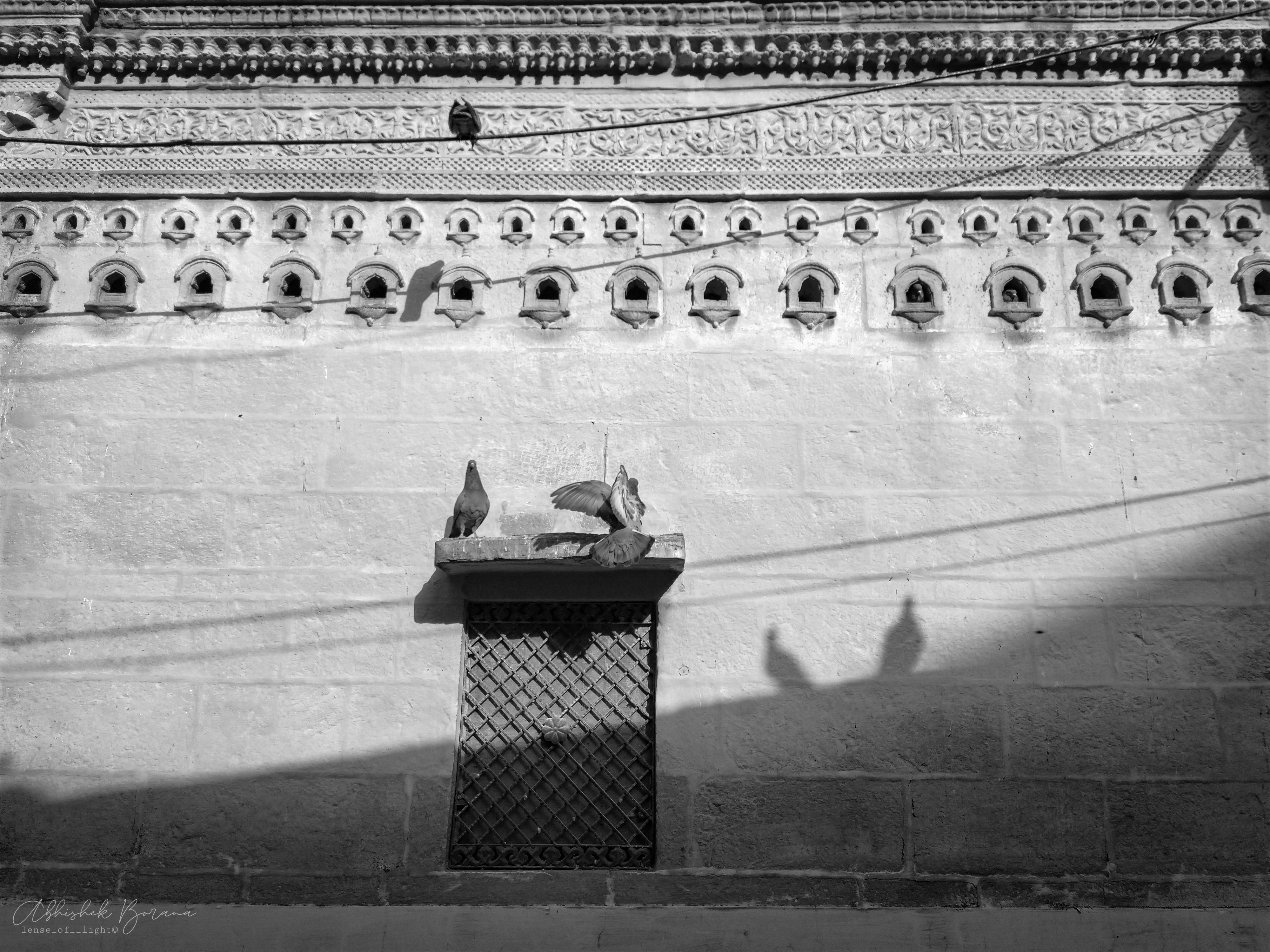 Intricate architectural details on a weathered wall, featuring perched birds and dramatic shadows cast by sunlight.