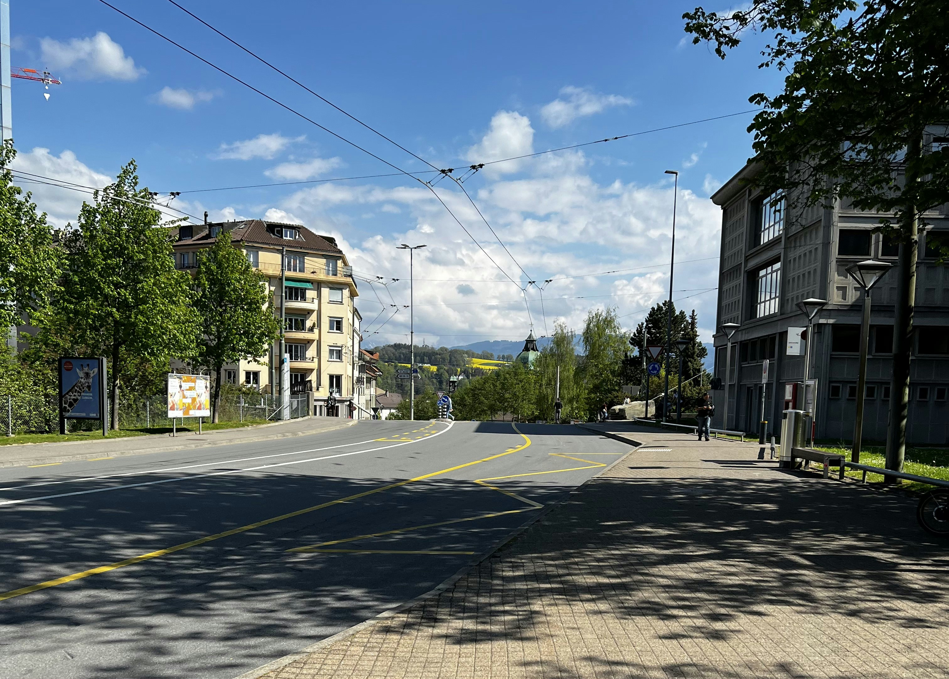 Horizon on a Quiet Avenue: Sunlit Street Framed by Overhead Tram Wires