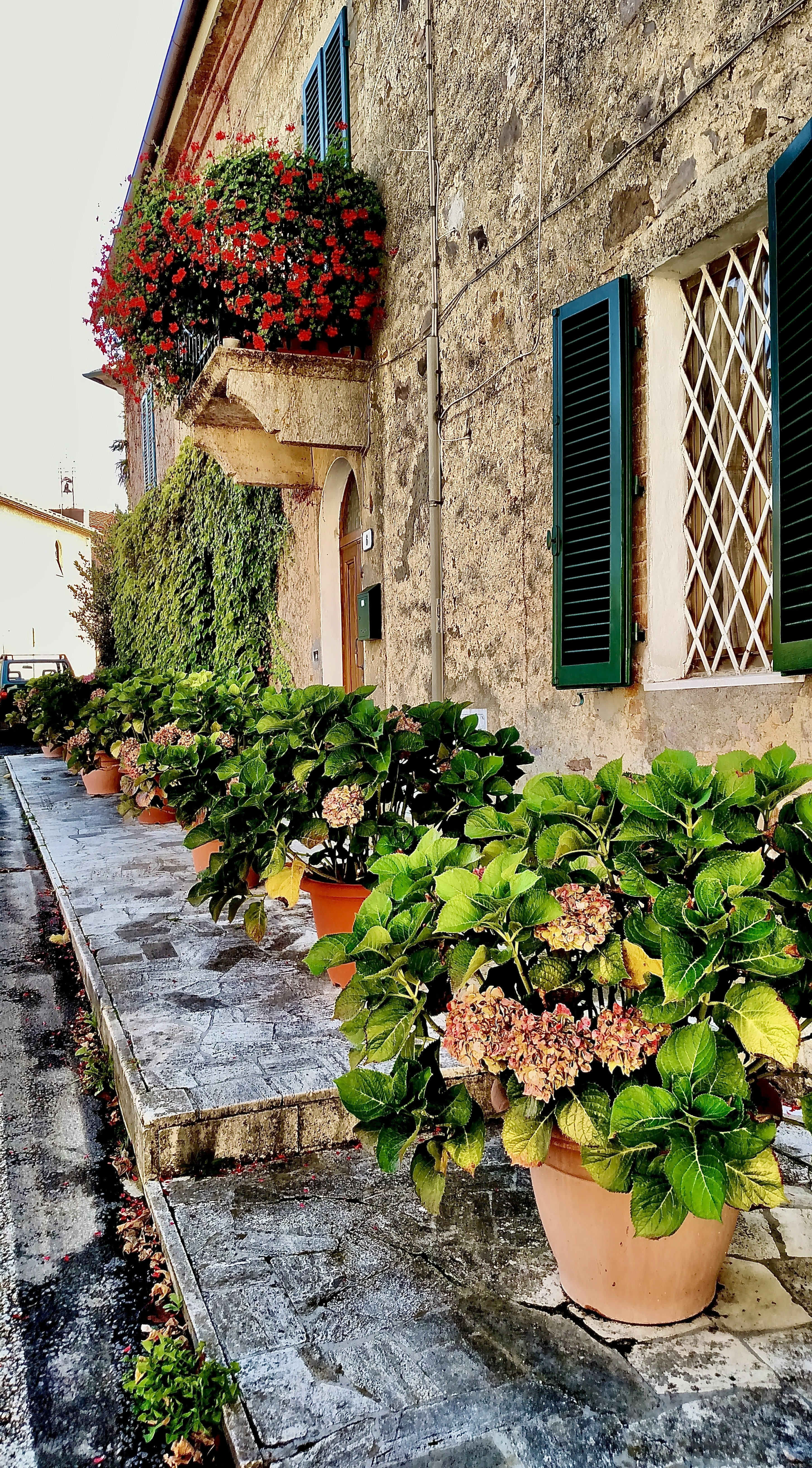Vibrant potted hydrangeas line a stone pathway beside a rustic building adorned with green shutters and cascading flowers. 