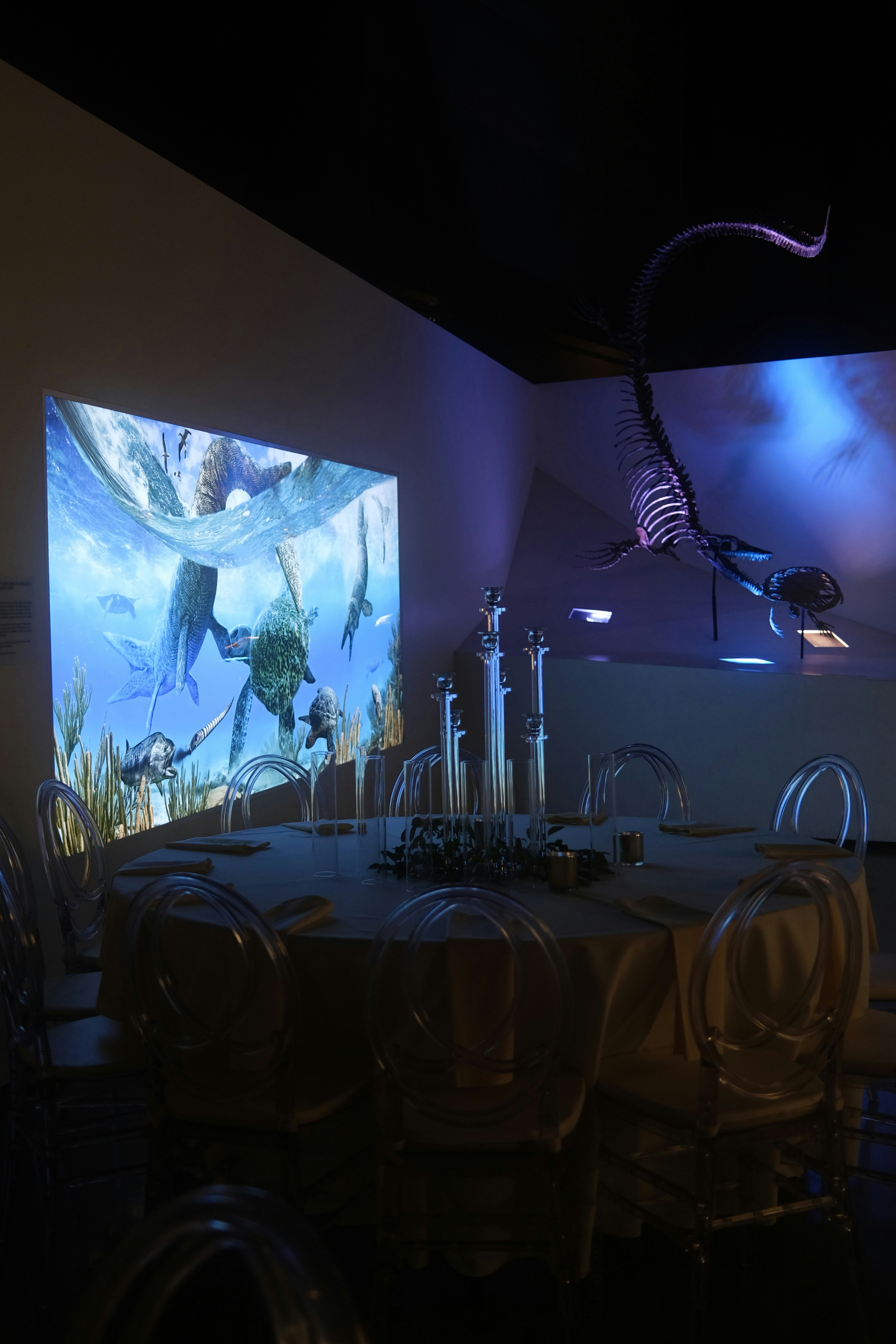 750+ Projector Pictures [HQ] | Download Free Images on Unsplash