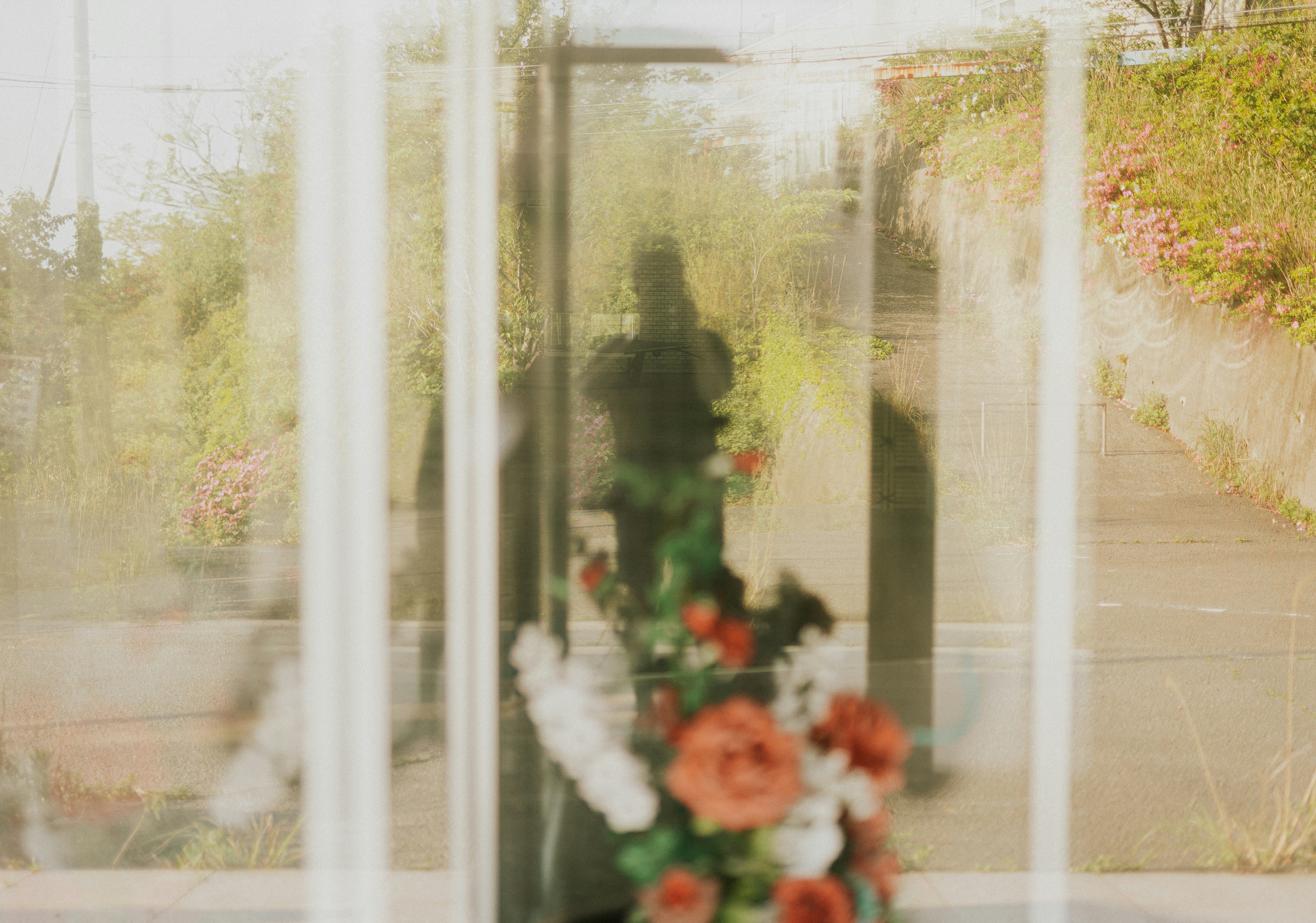 A floral arrangement is partially obscured by a reflective surface, revealing a blurred silhouette against a natural backdrop.