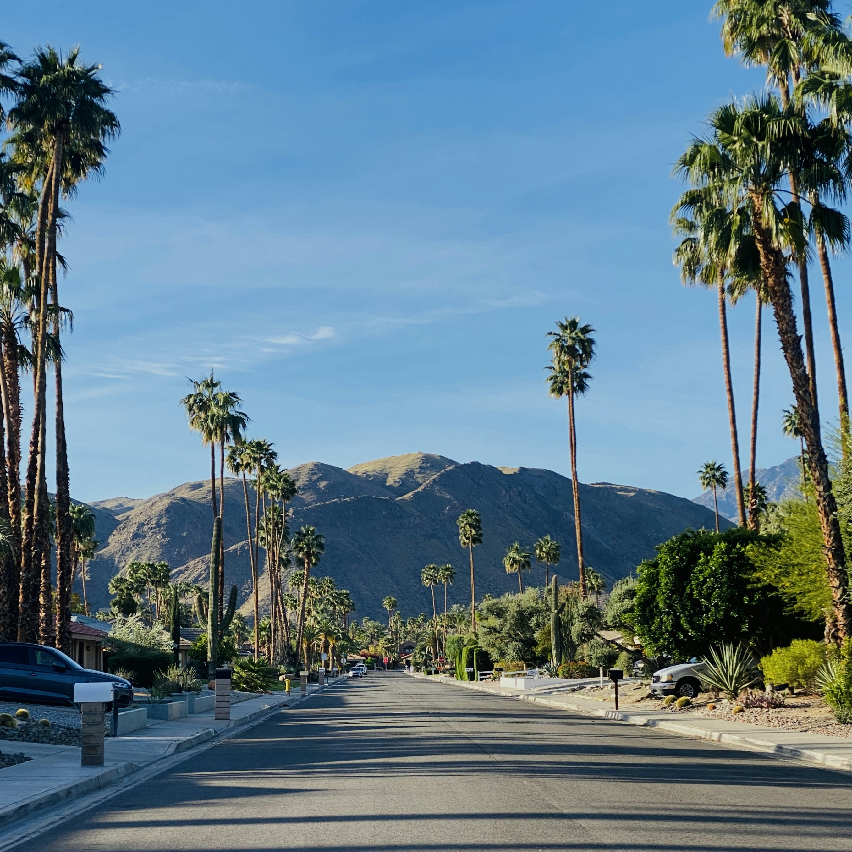 A serene street scene featuring palm trees flanking a quiet road leading to distant mountains, showcasing the tranquility of suburban desert life.