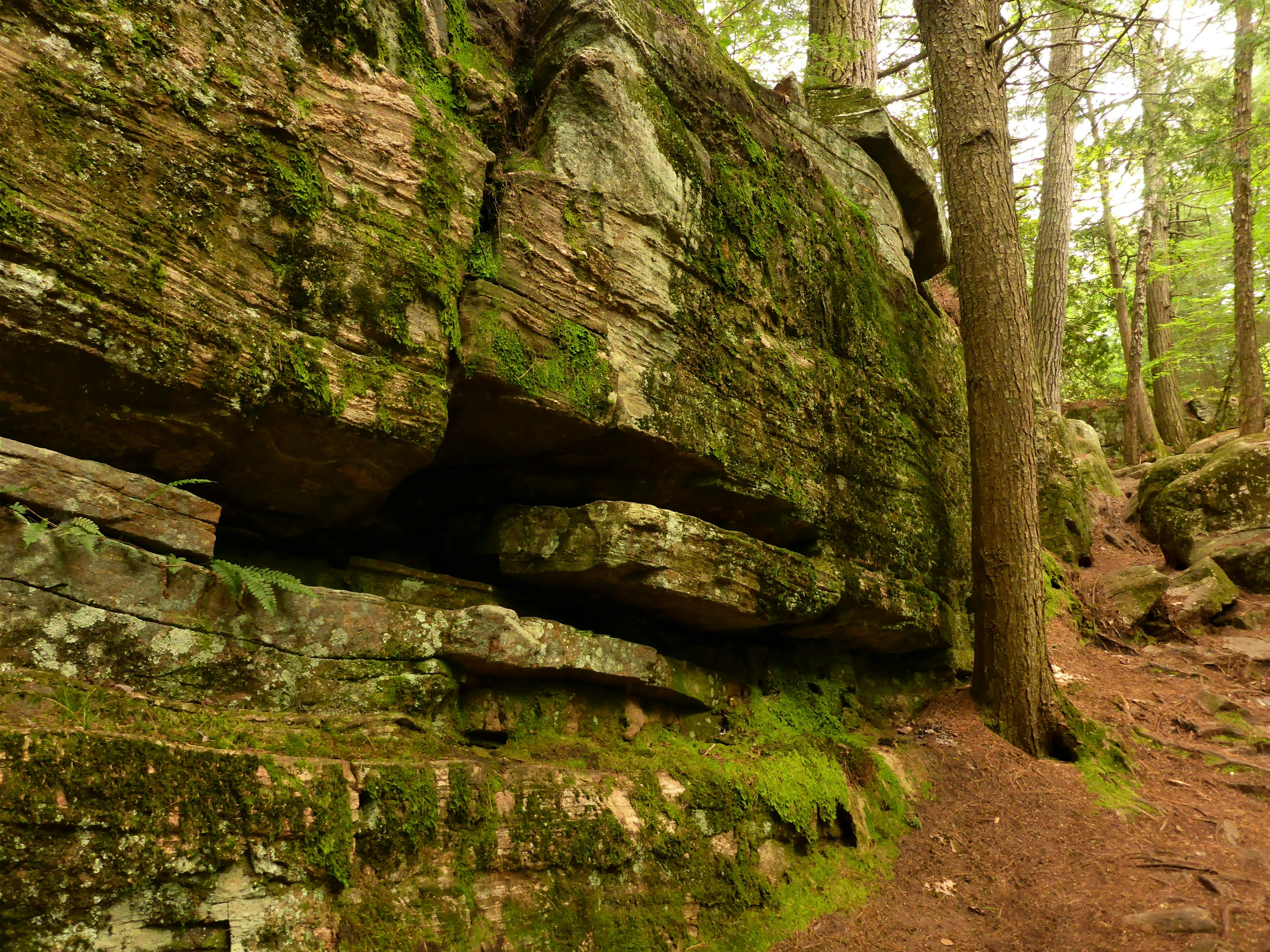 A large rock formation in the woods photo – Free Bracebridge Image on ...