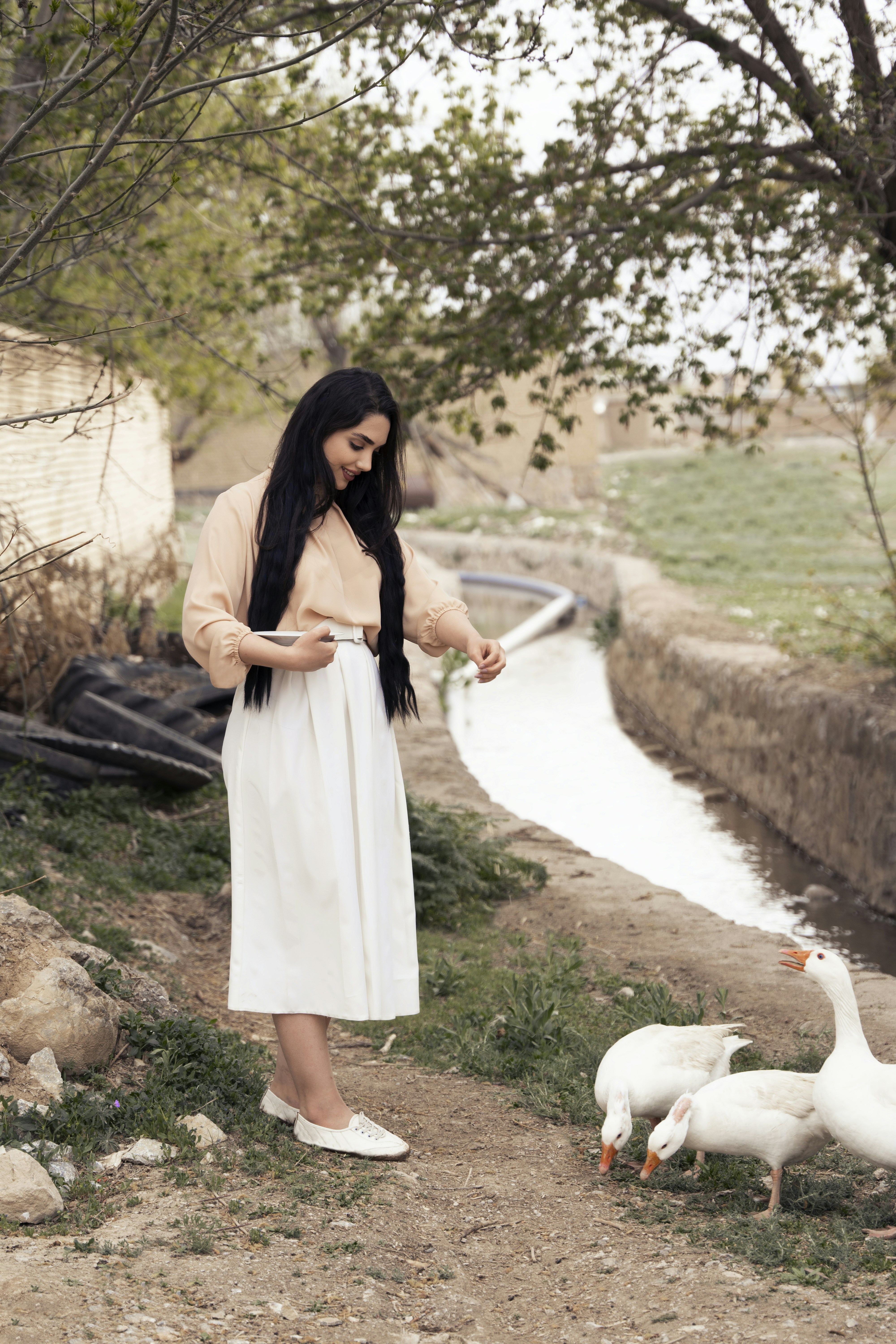Heron Meadow: A Quiet Moment with a Girl and Geese