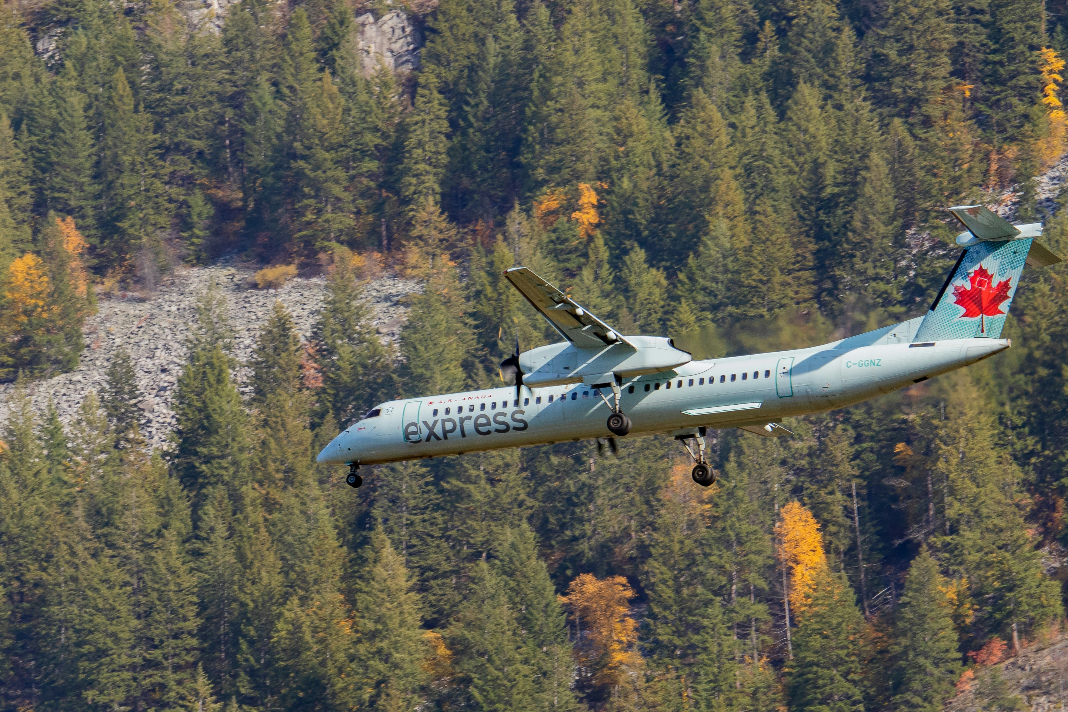 Express in the Pines: A Maple-Leaf Livery in Transition