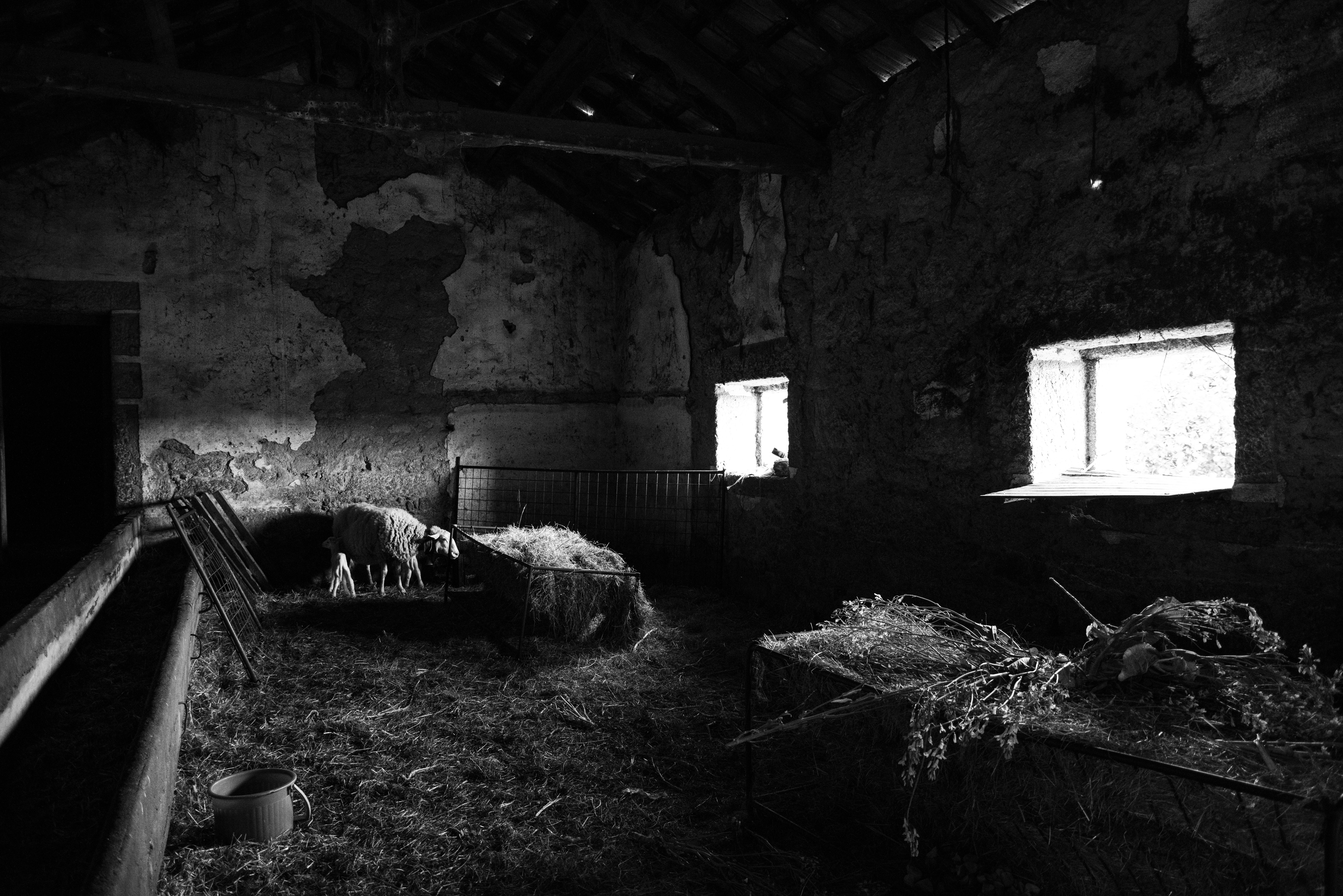 Whispers of a Dusk Barn: Hay, Stone, and Quiet Light