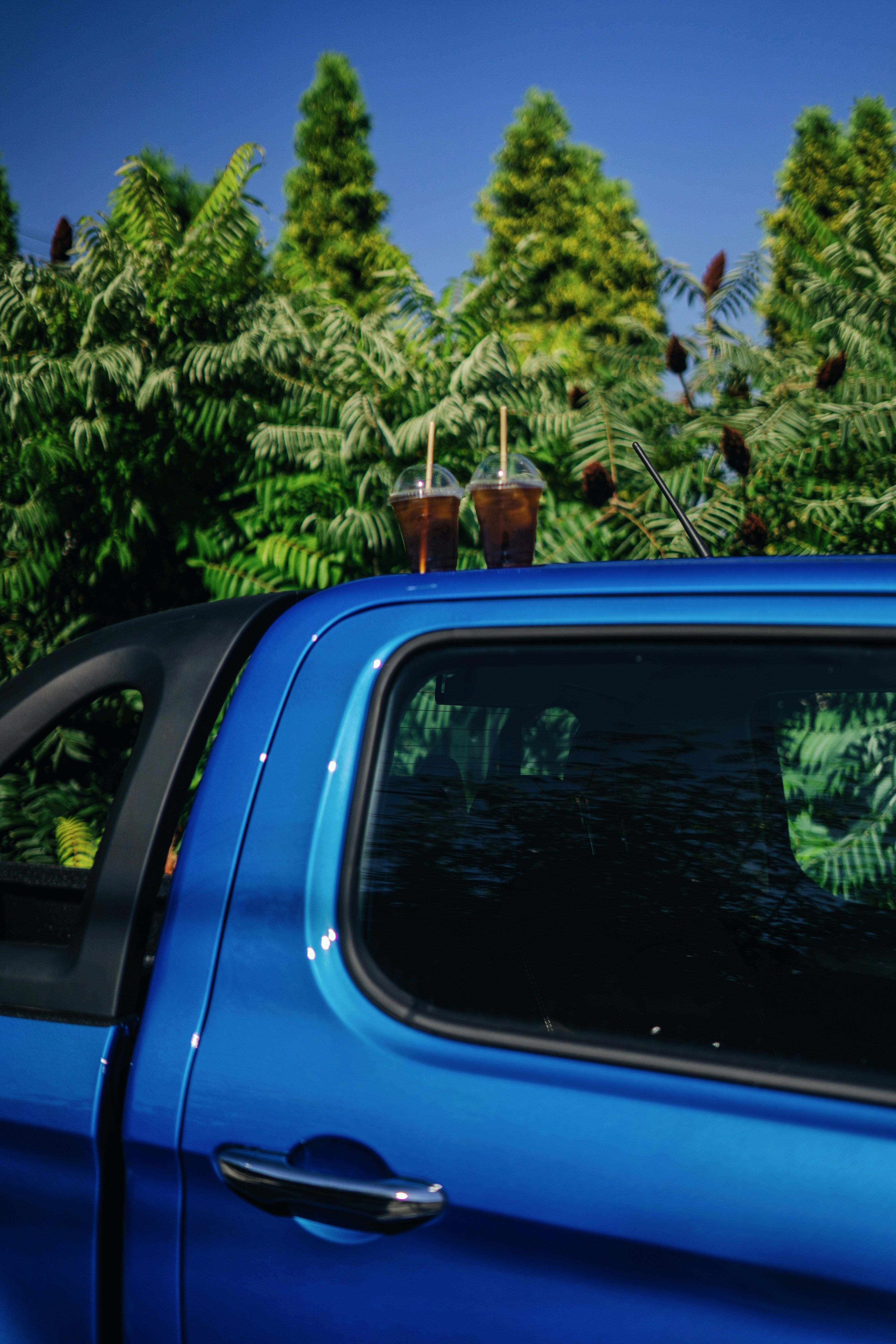 Blue Truck, Green Canopy, and Cold Brew on the Roof