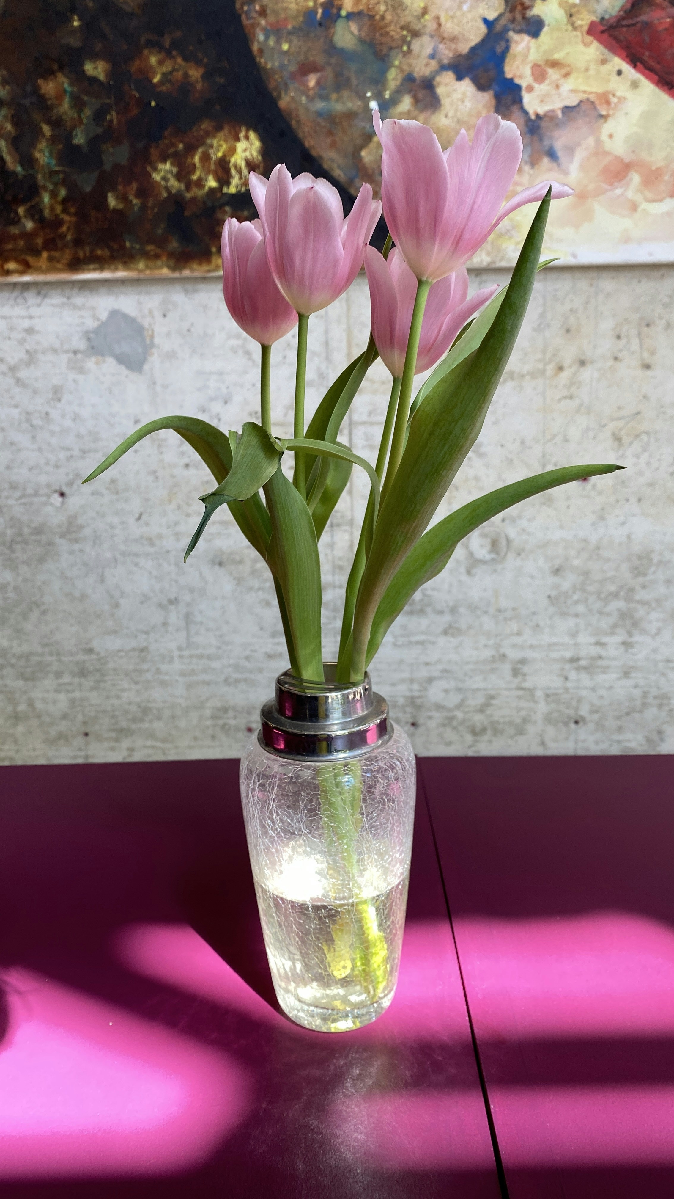 Soft Pink Tulips in a Glass Vase Bathed in Magenta Light