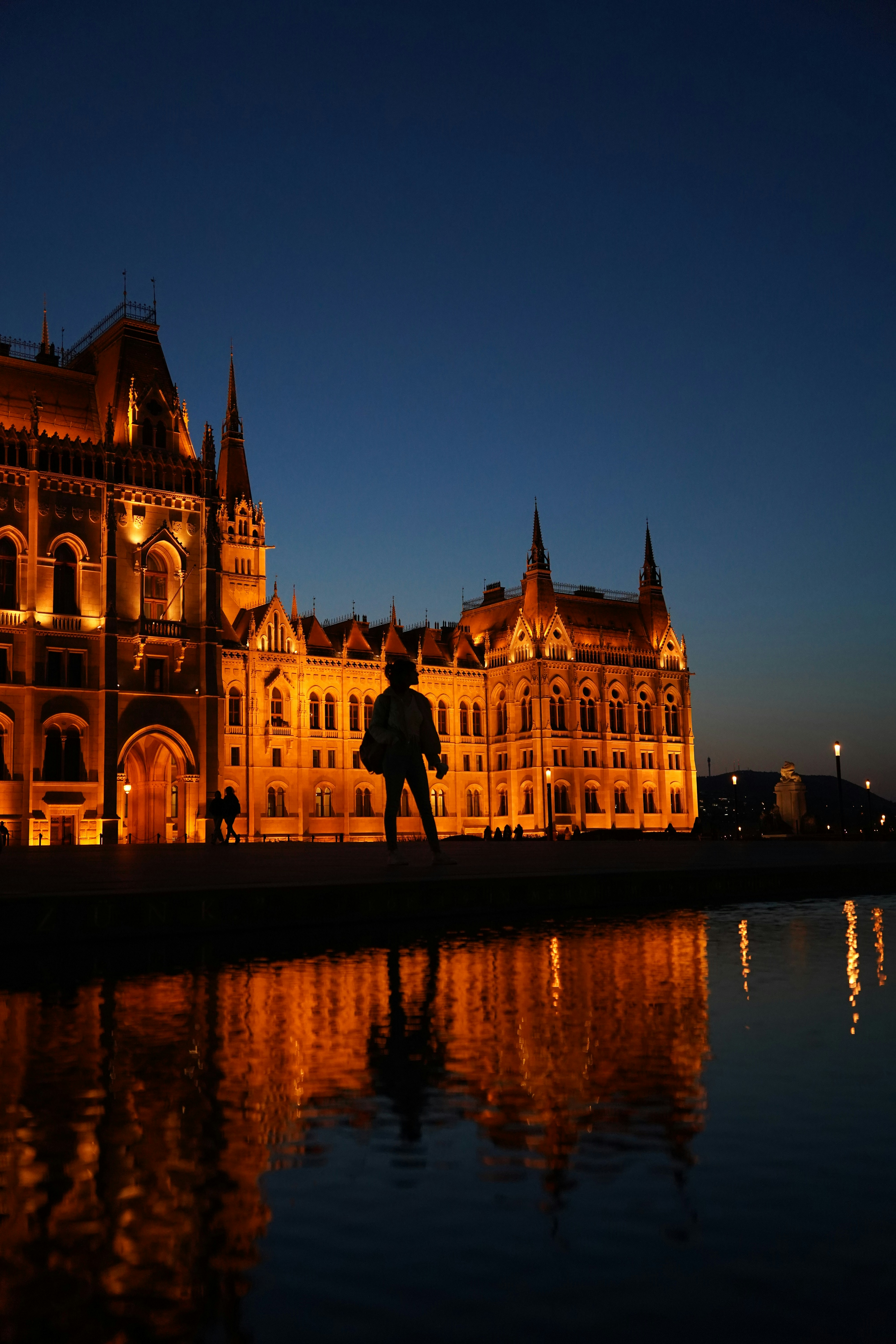 Crescent of light: illuminated palace at night with reflected silhouettes