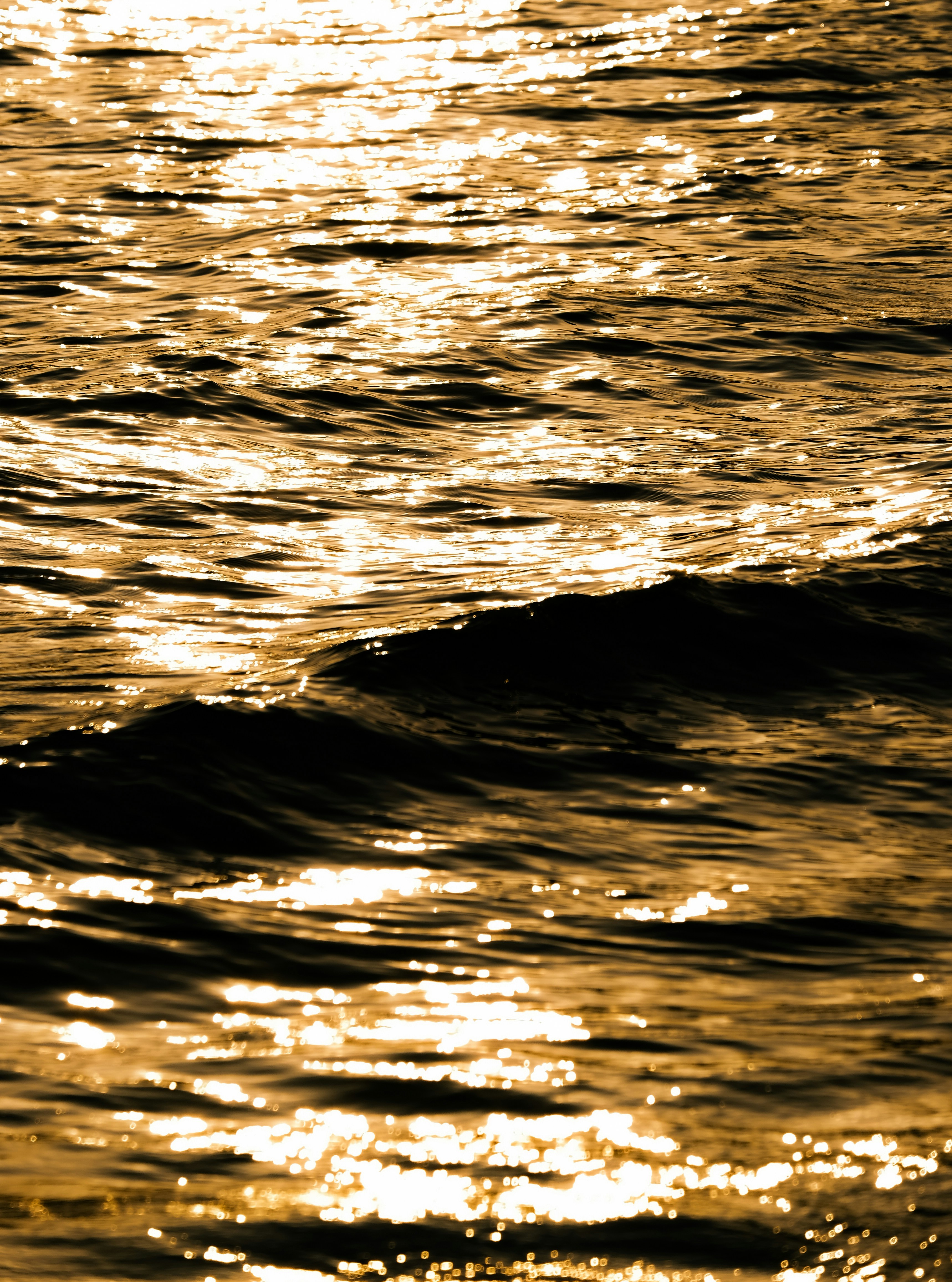 Sunlight reflecting off gently rippling water, creating a shimmering golden effect. The scene captures the tranquil beauty of nature's interplay with light.