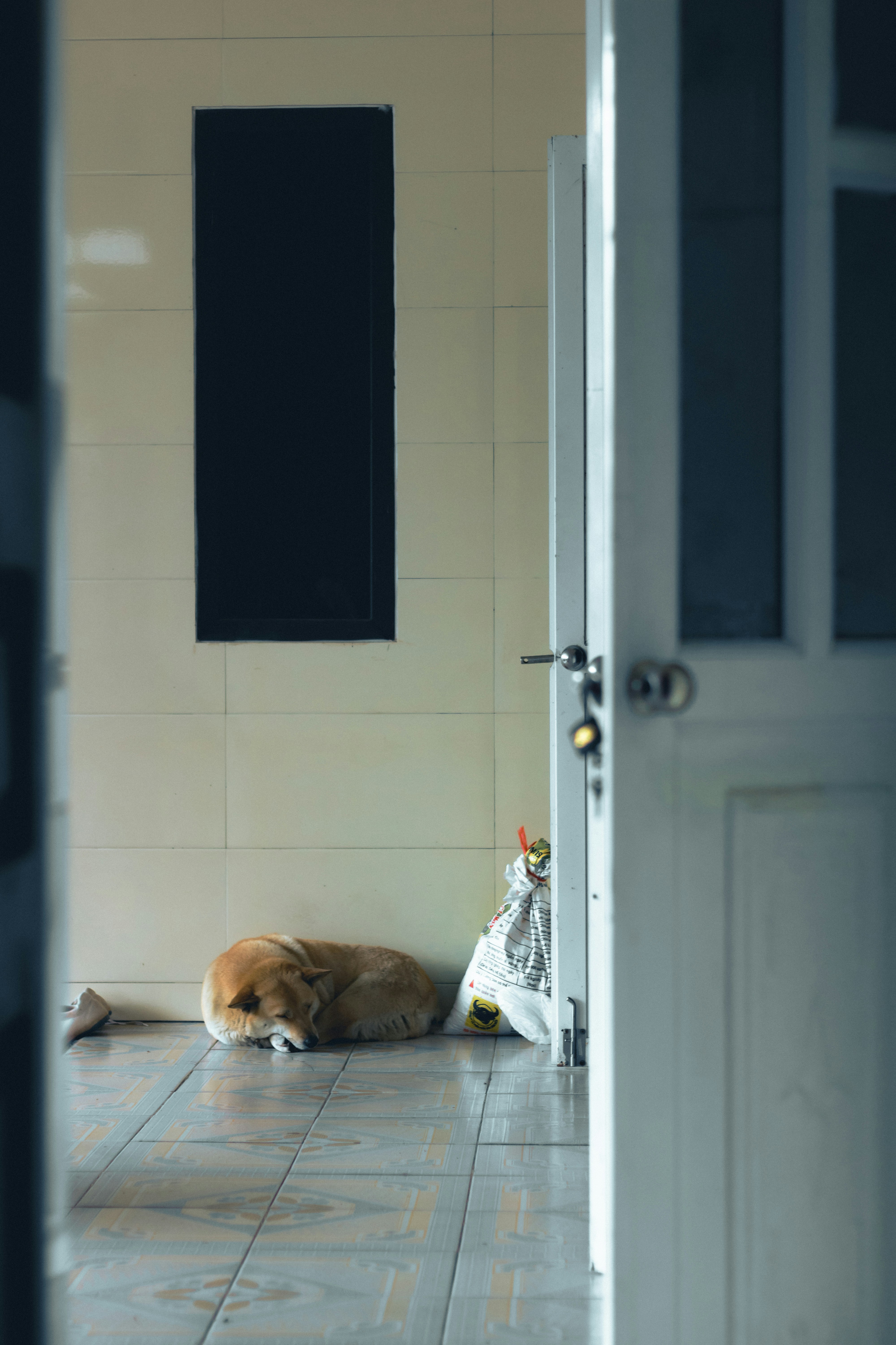 A cozy dog resting on the tiled floor of a softly lit room, with a partially open door framing the scene. A bag of items sits nearby.