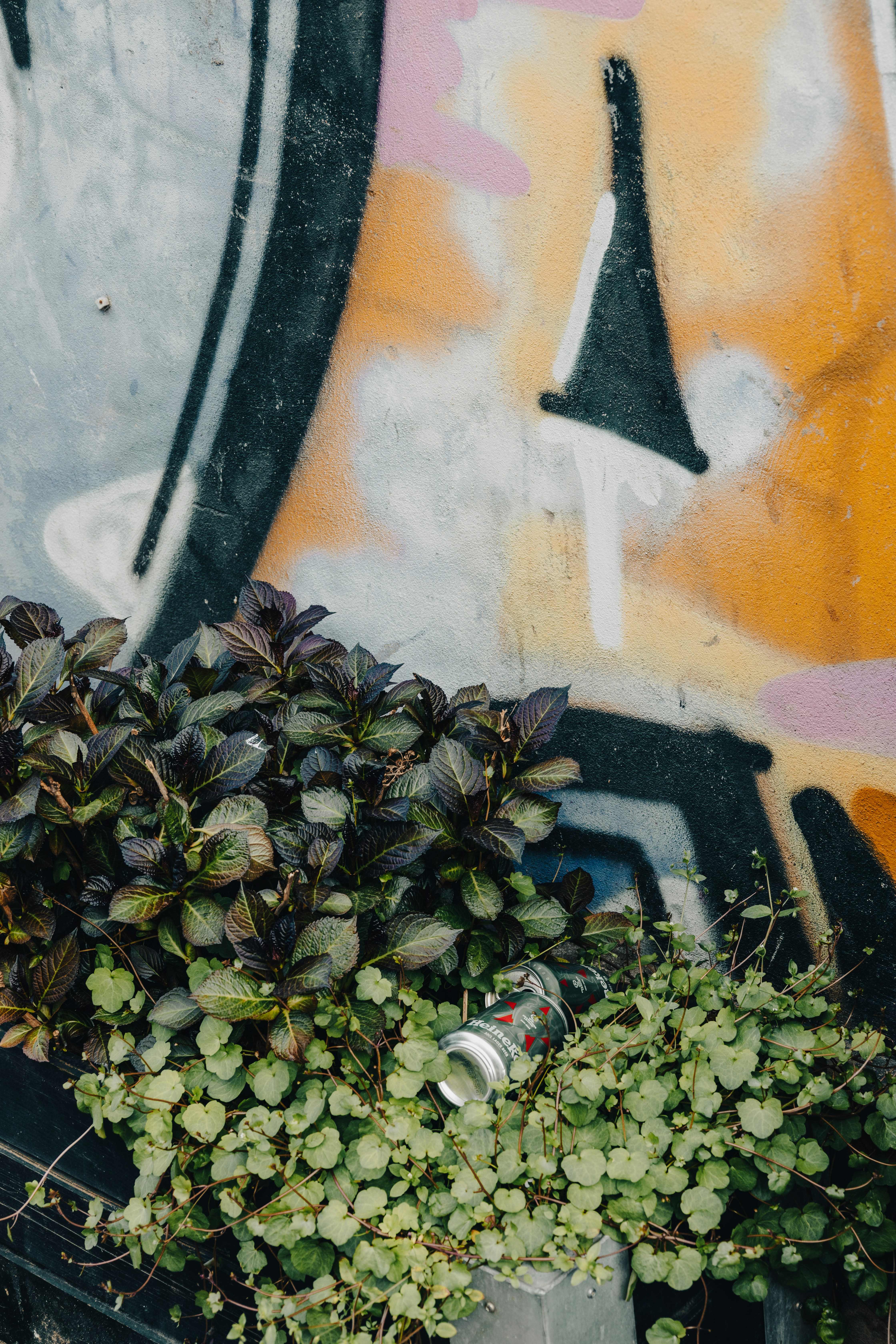 Urban Graffiti and Green Footpath
