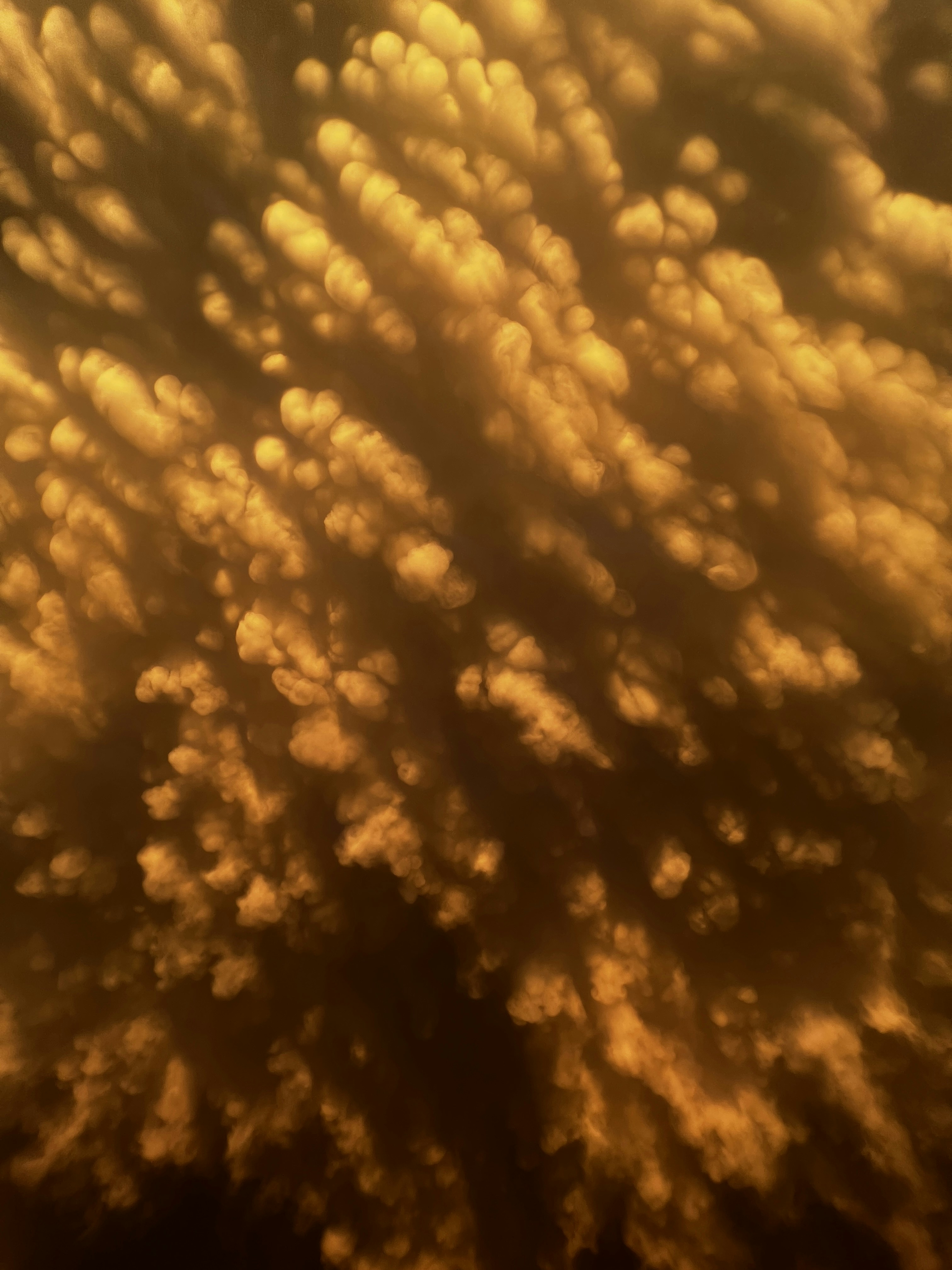 A mesmerizing display of golden clouds casting intricate shadows, creating a dreamlike atmosphere.