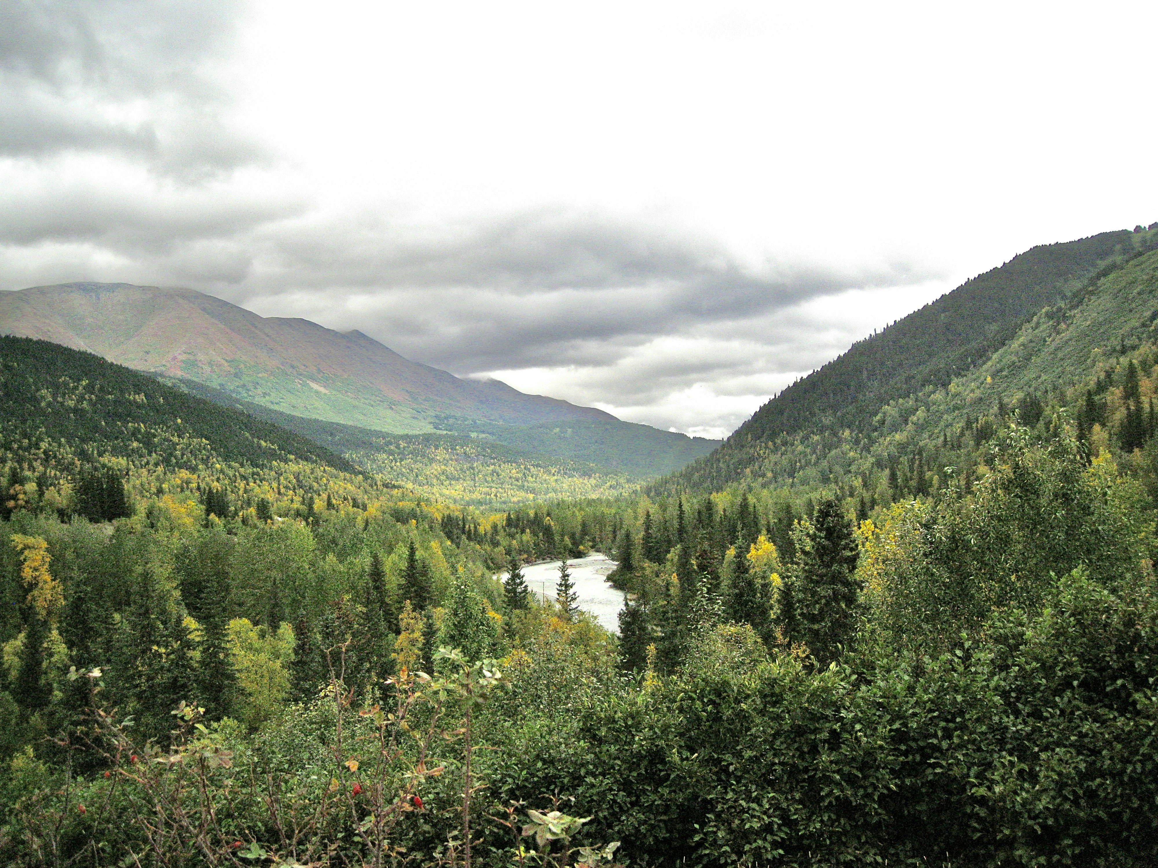 Lush green valley framed by distant mountains under a cloudy sky, with a winding river reflecting the landscape's colors.
