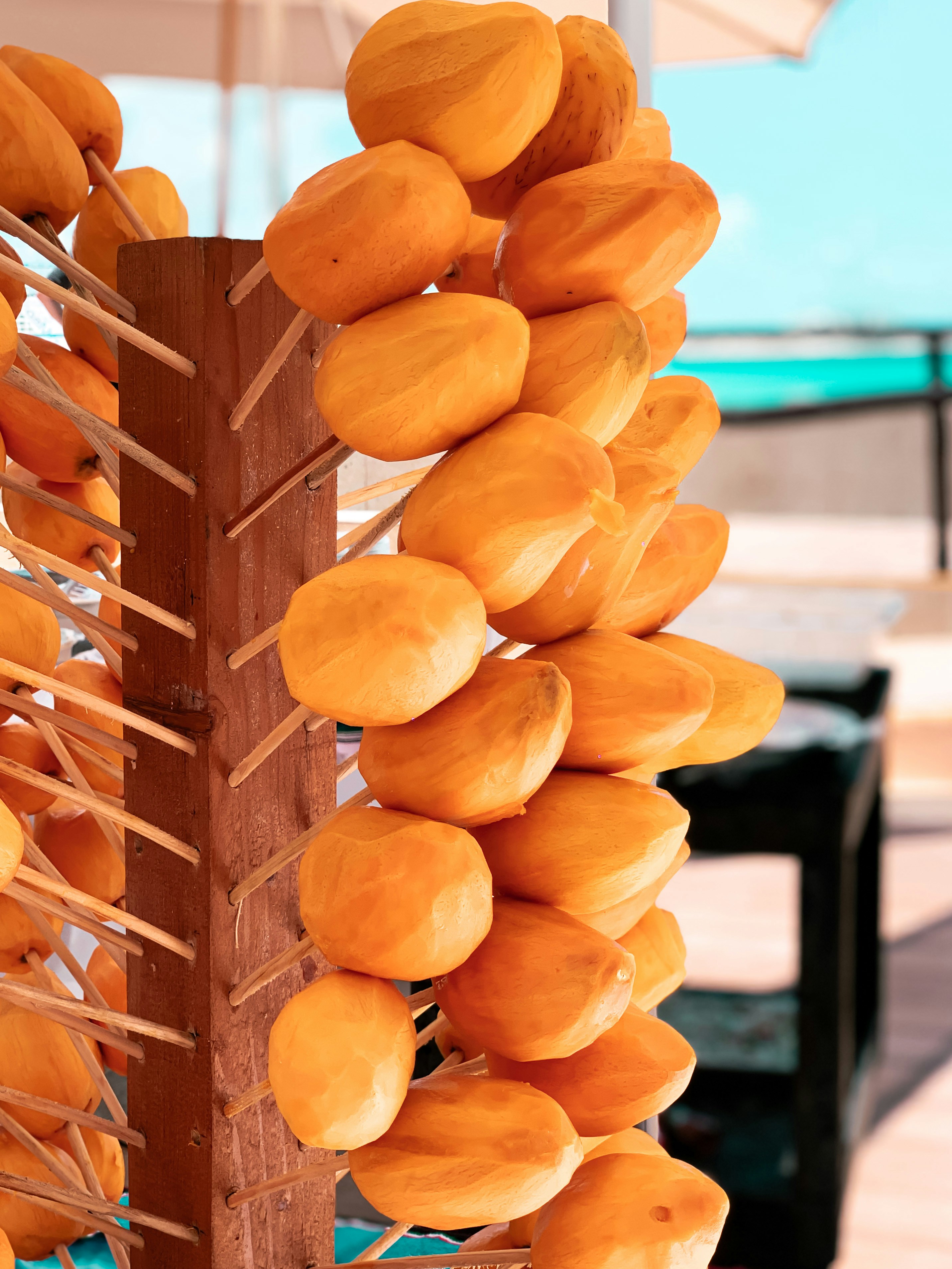Golden Persimmons Threaded on a Cedar Spine