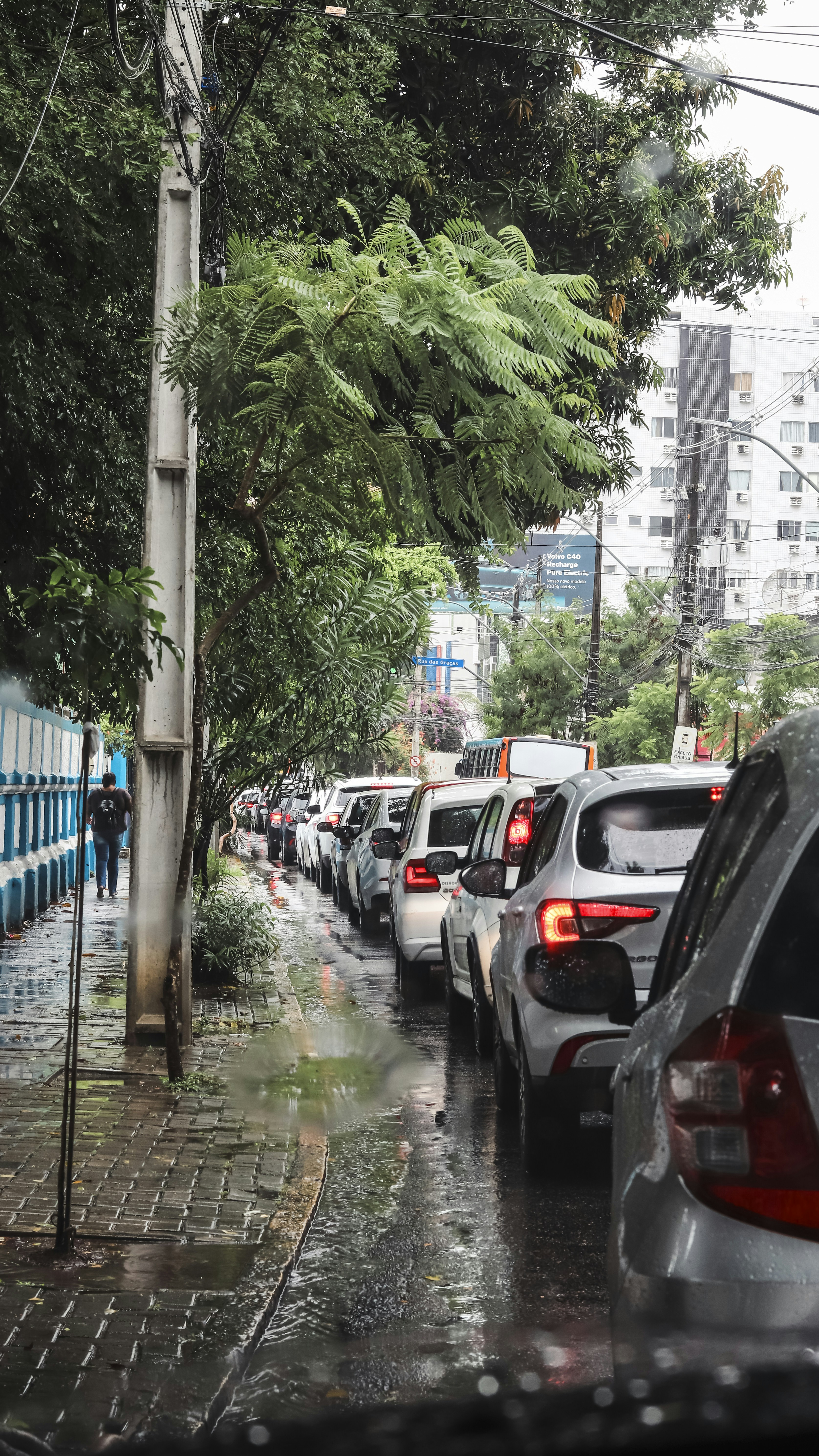 Converging Taillights along a Rain-Slick City Street