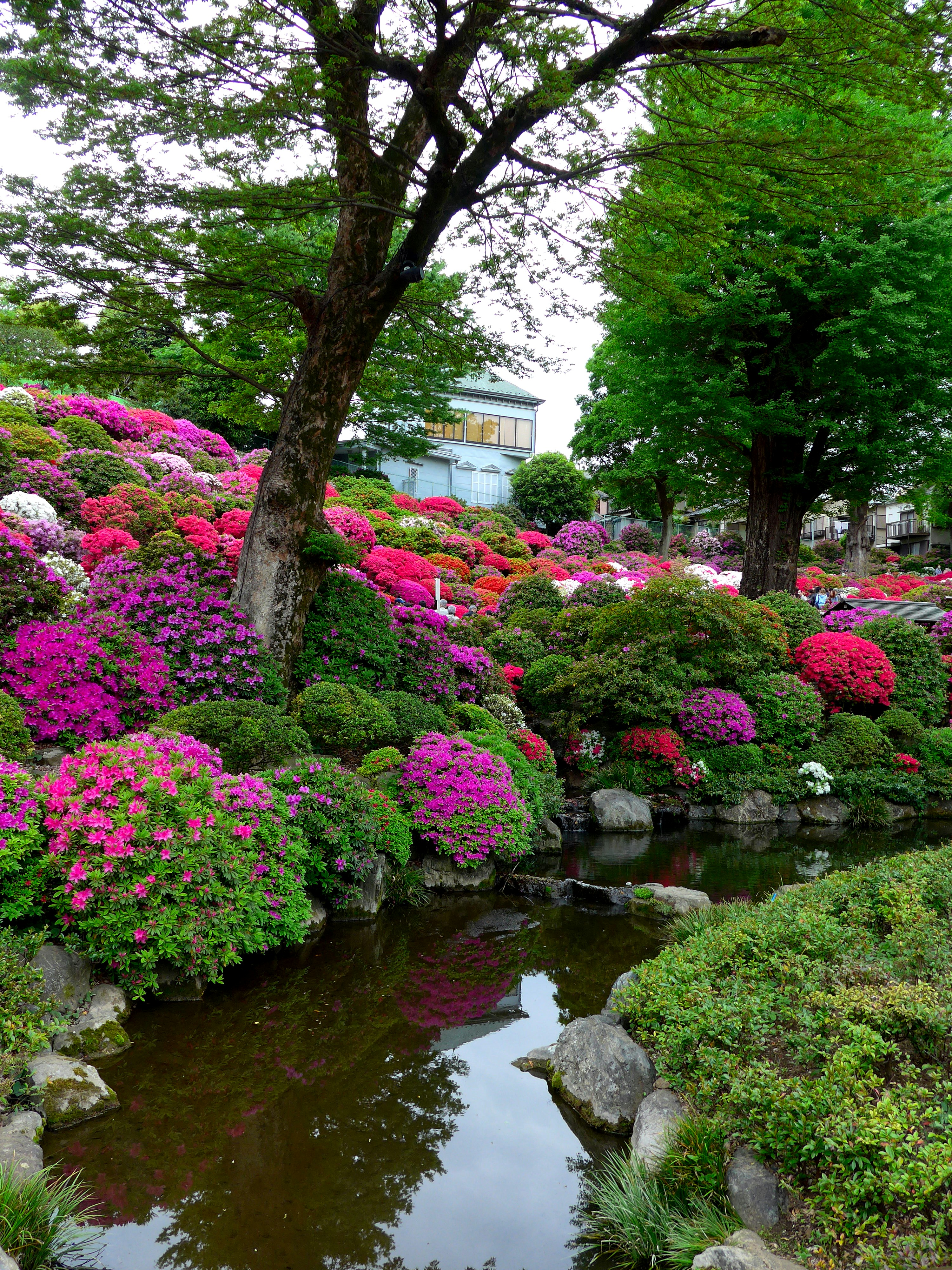 Photo by Mia de Jesus with Leica C (Typ 112)