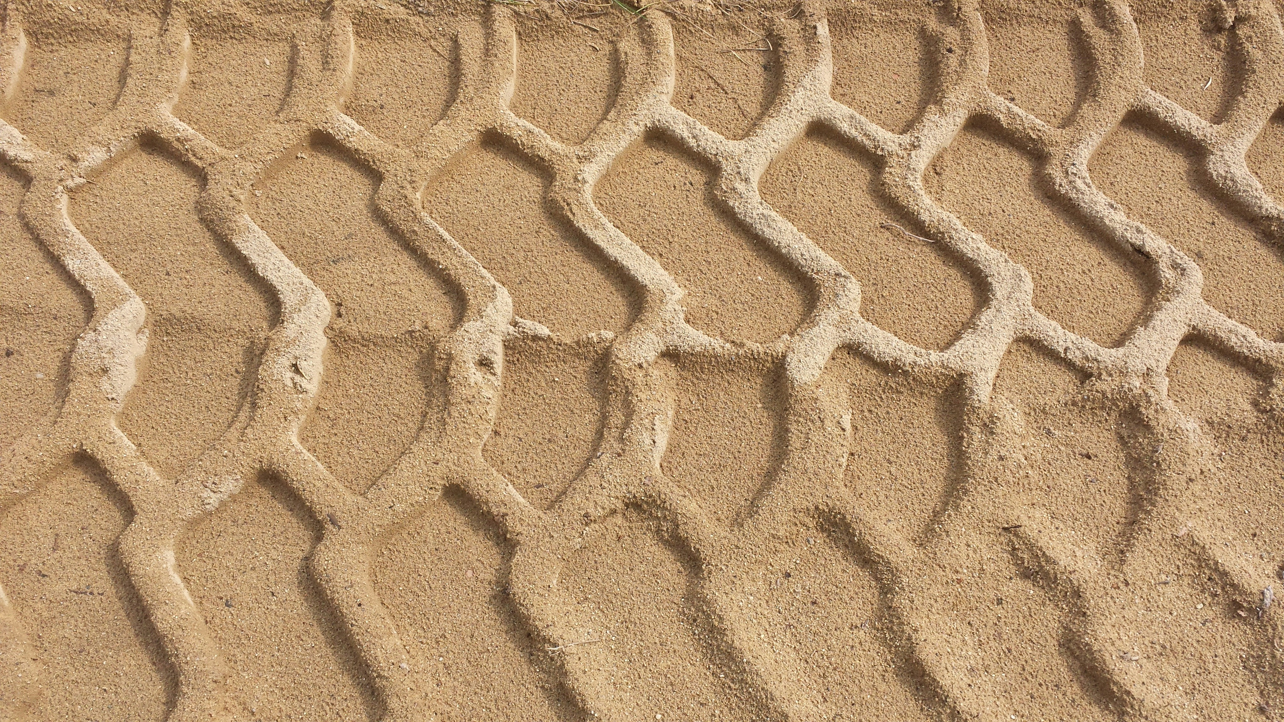 Geometry in Sand: A Macro Portrait of Ripple Ridges