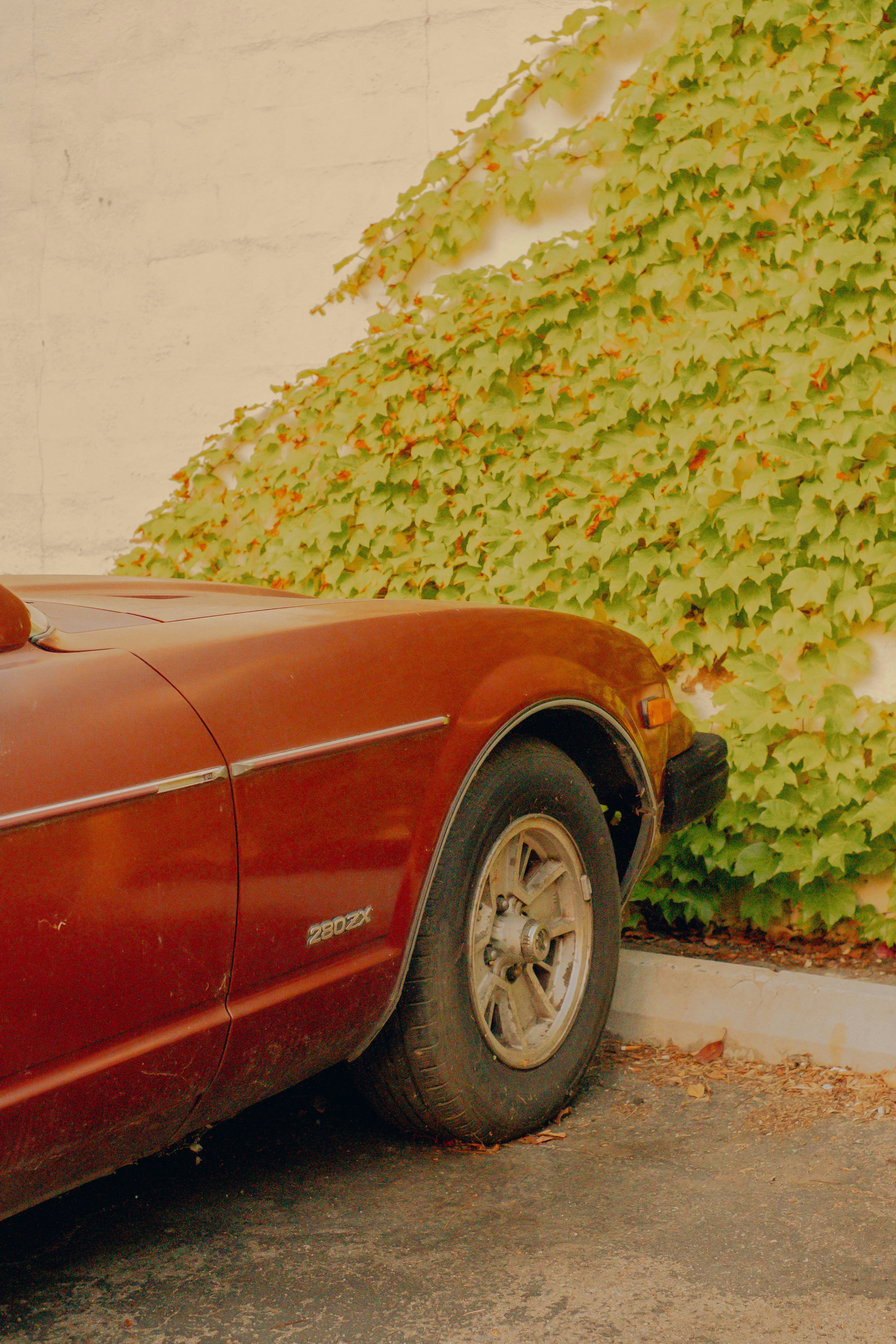 Classic brown car partially obscured by vibrant green ivy against a textured wall.