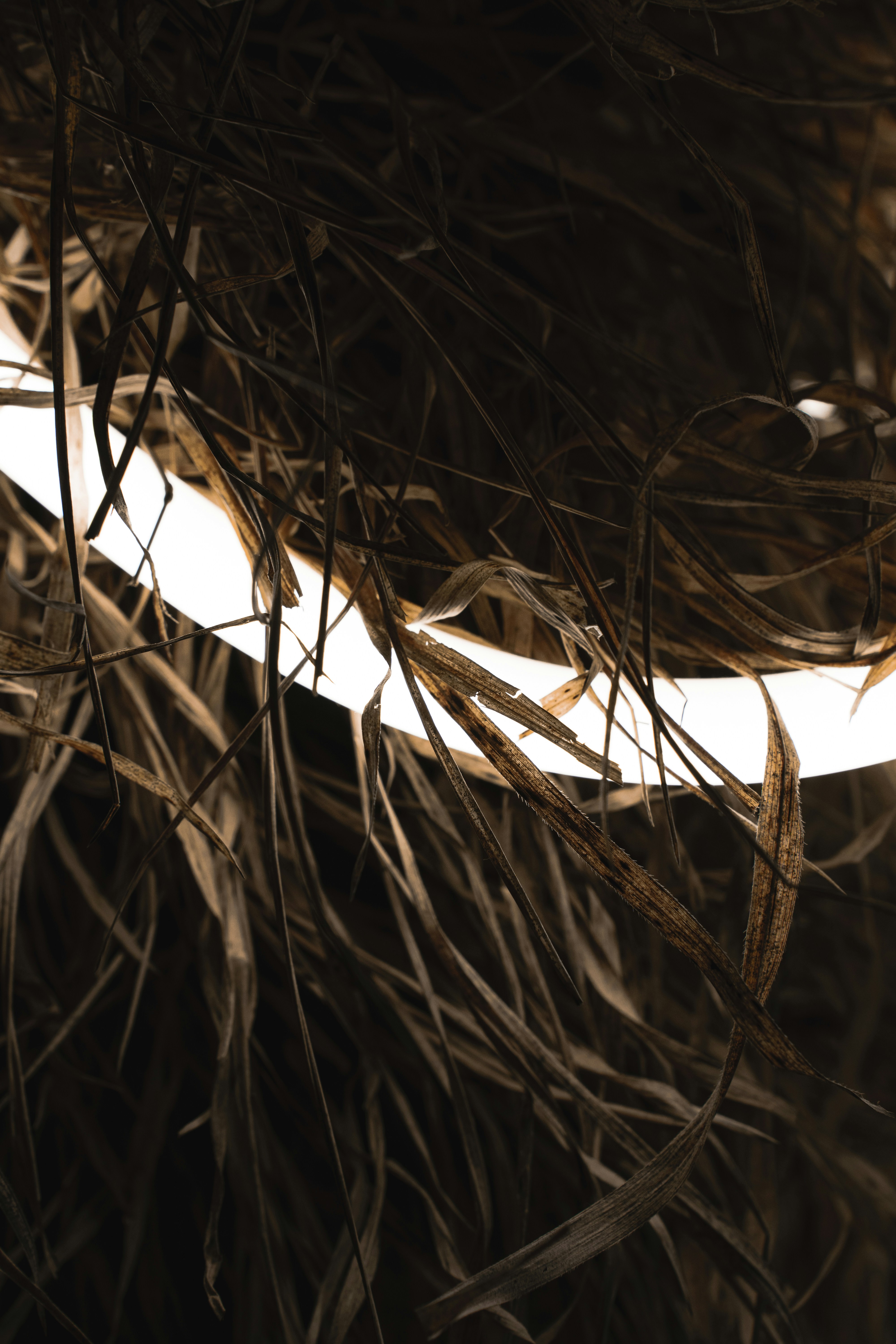 A close up of a spider web photo – Free Sphere Image on Unsplash