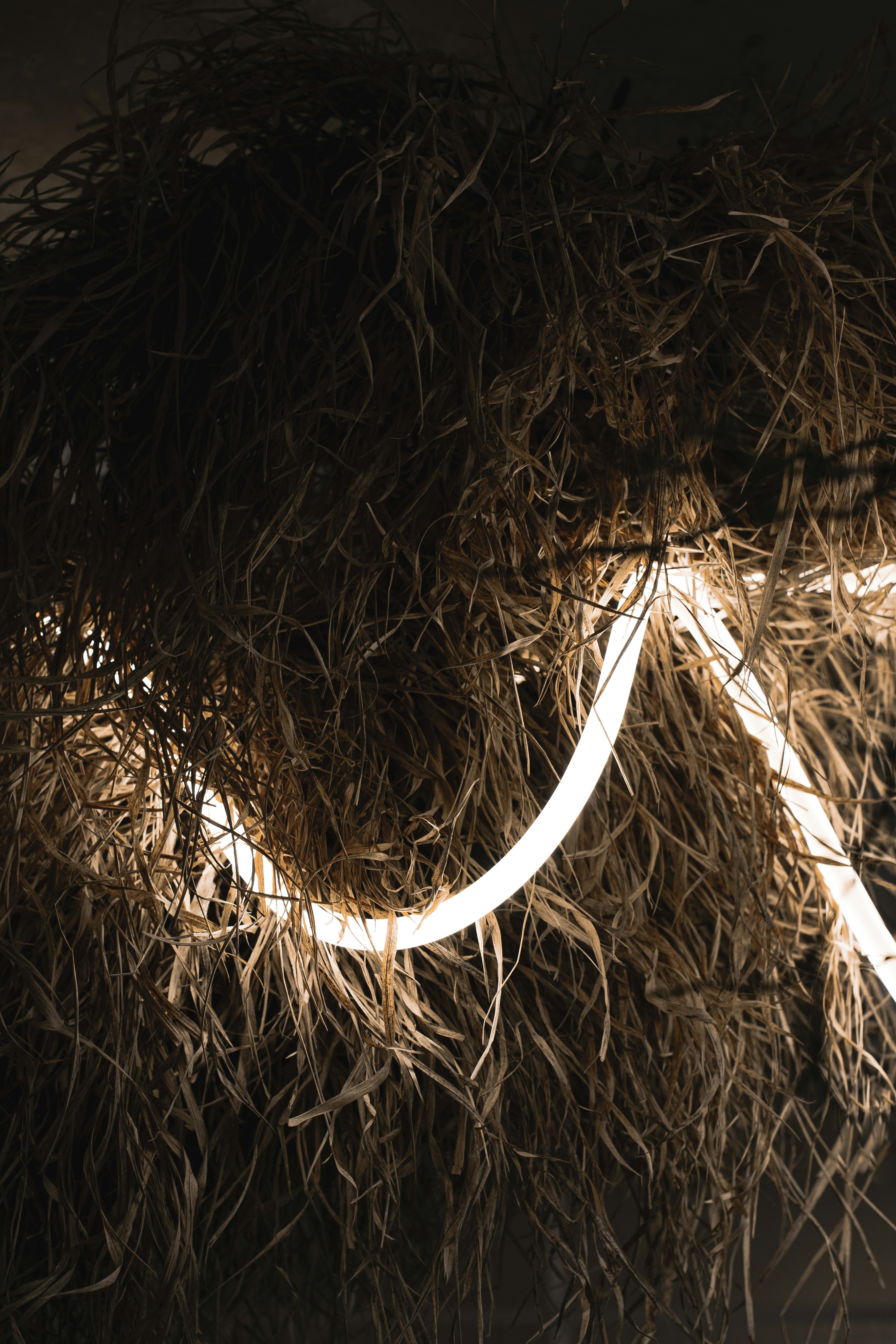 Neon Ribbon Through Twigs