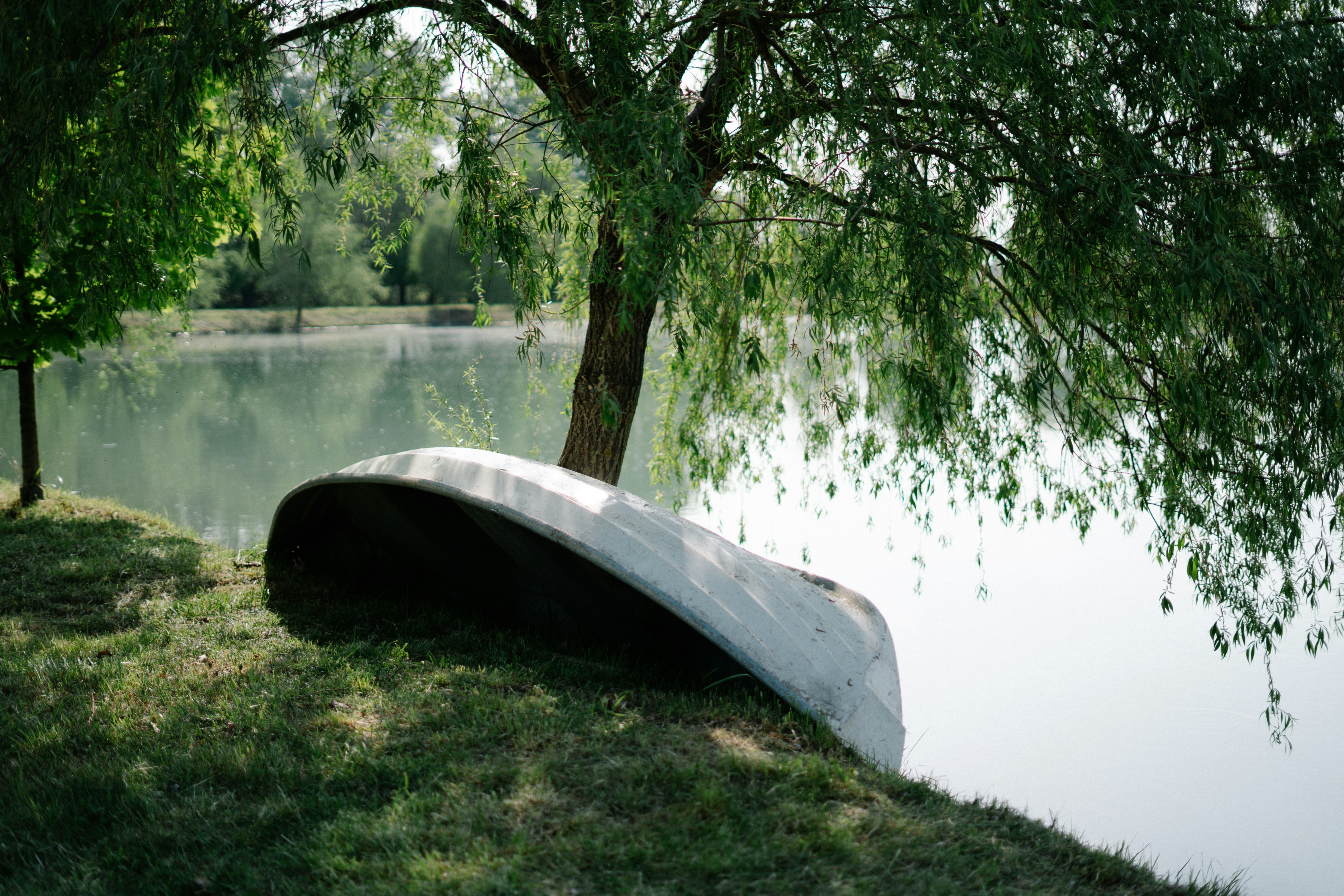 An abandoned canoe rests on the grassy bank beneath a tree, reflecting the serene waters of a calm lake. The lush greenery creates a peaceful atmosphere.
