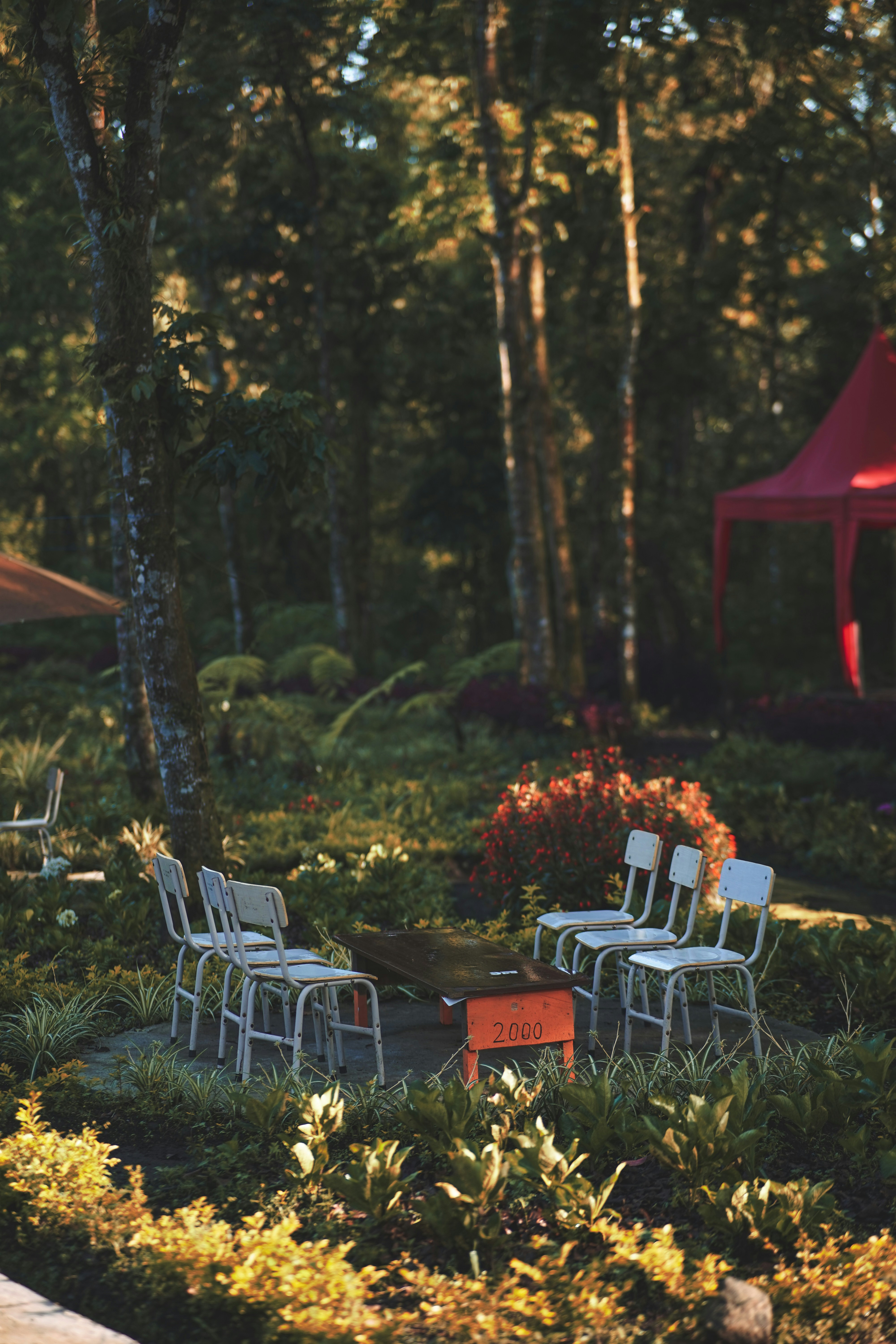 Chairs Arranged Around a Central Lantern in a Forest Clearing