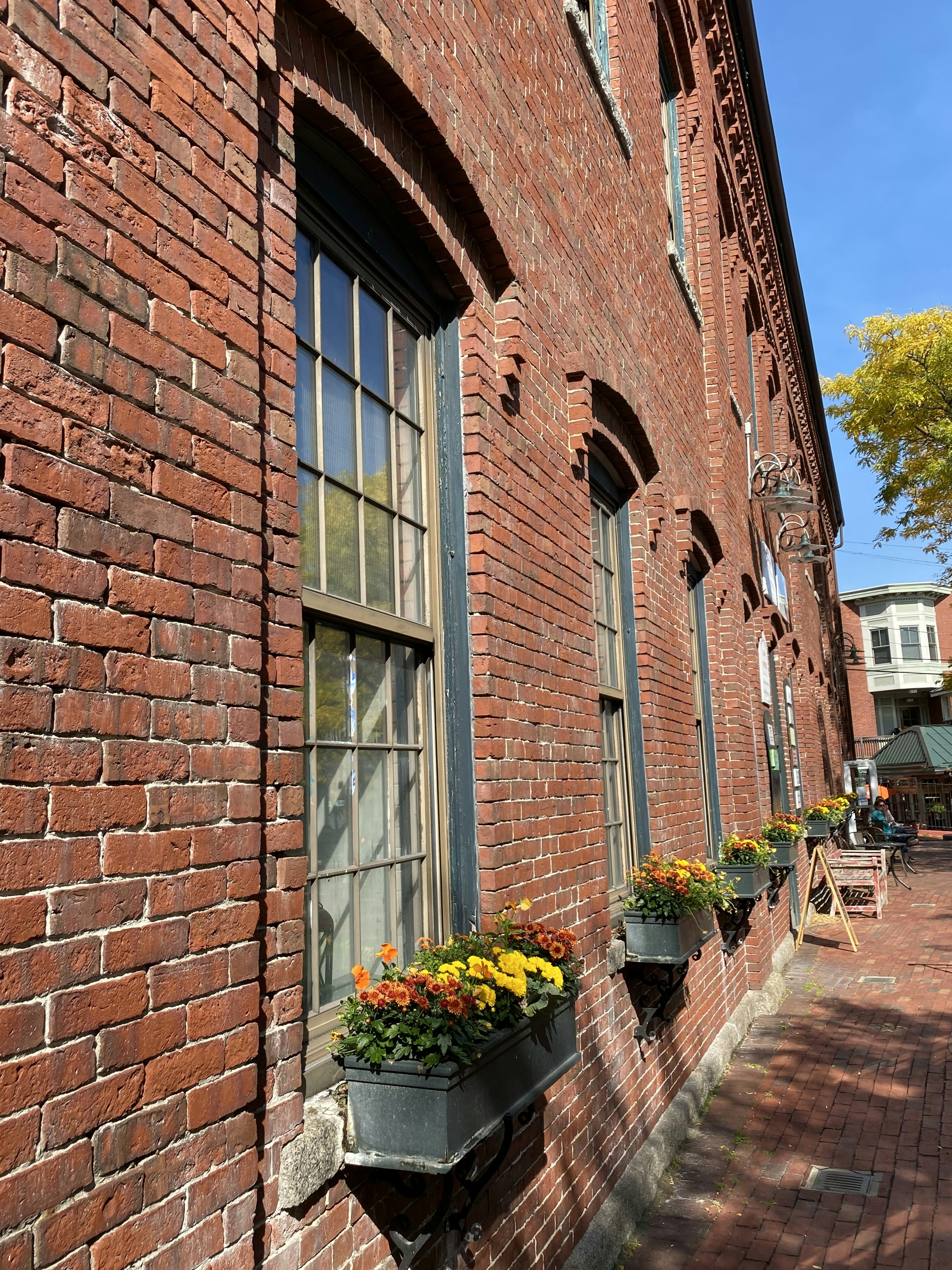 Historic brick wall featuring large windows and vibrant flower boxes, capturing the essence of urban charm in a quaint setting.