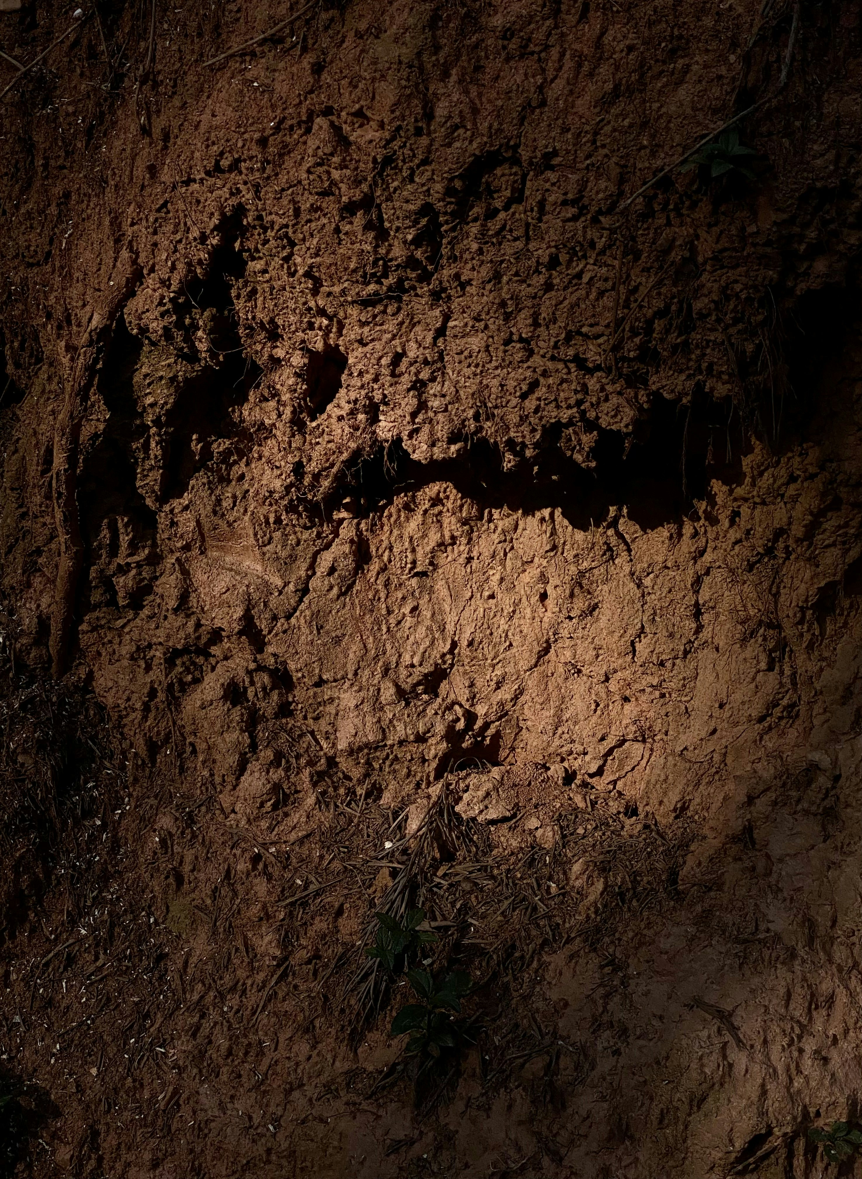 mud