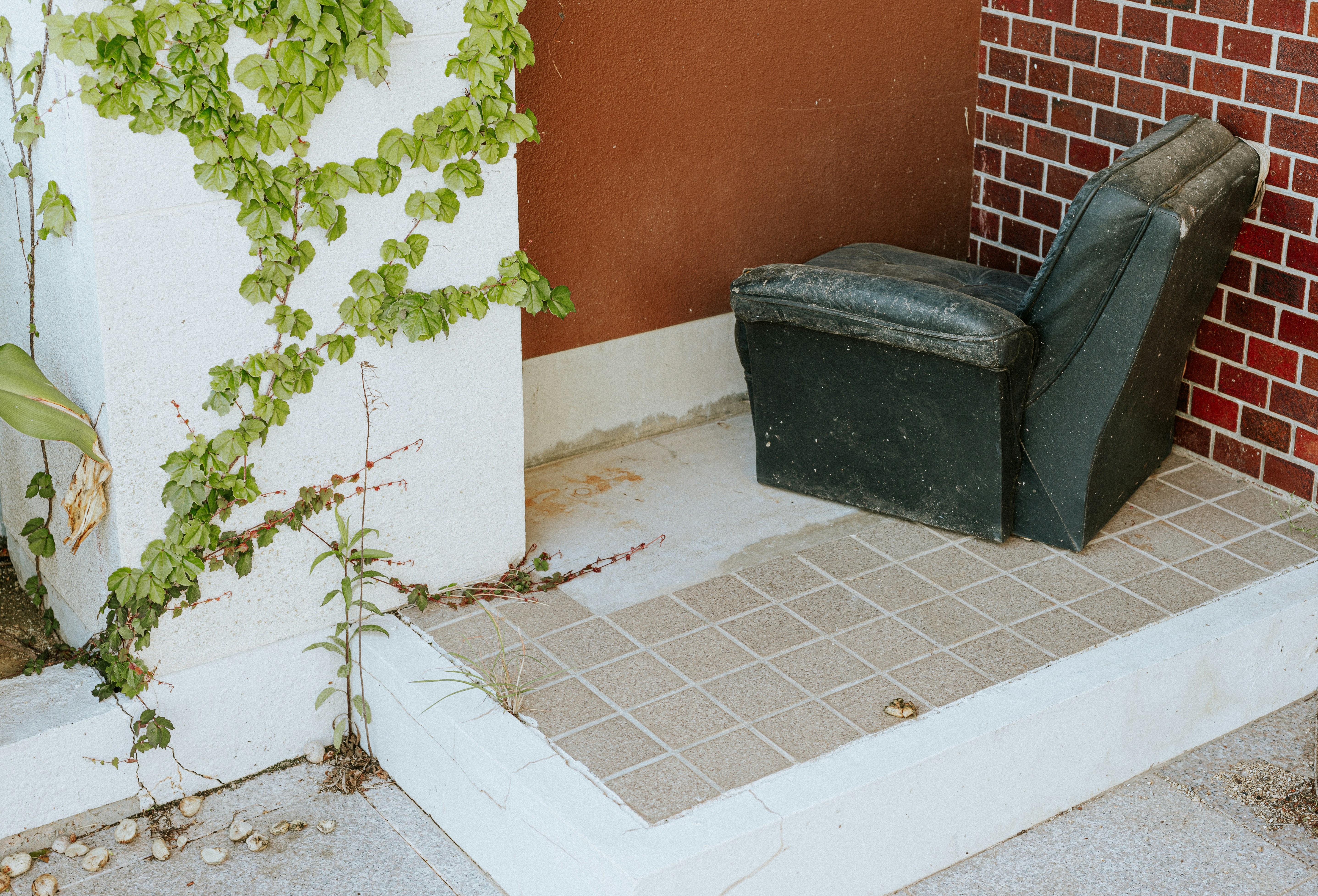 A worn-out green armchair sits against a textured wall, partially covered by ivy, highlighting themes of neglect and nature's reclamation.
