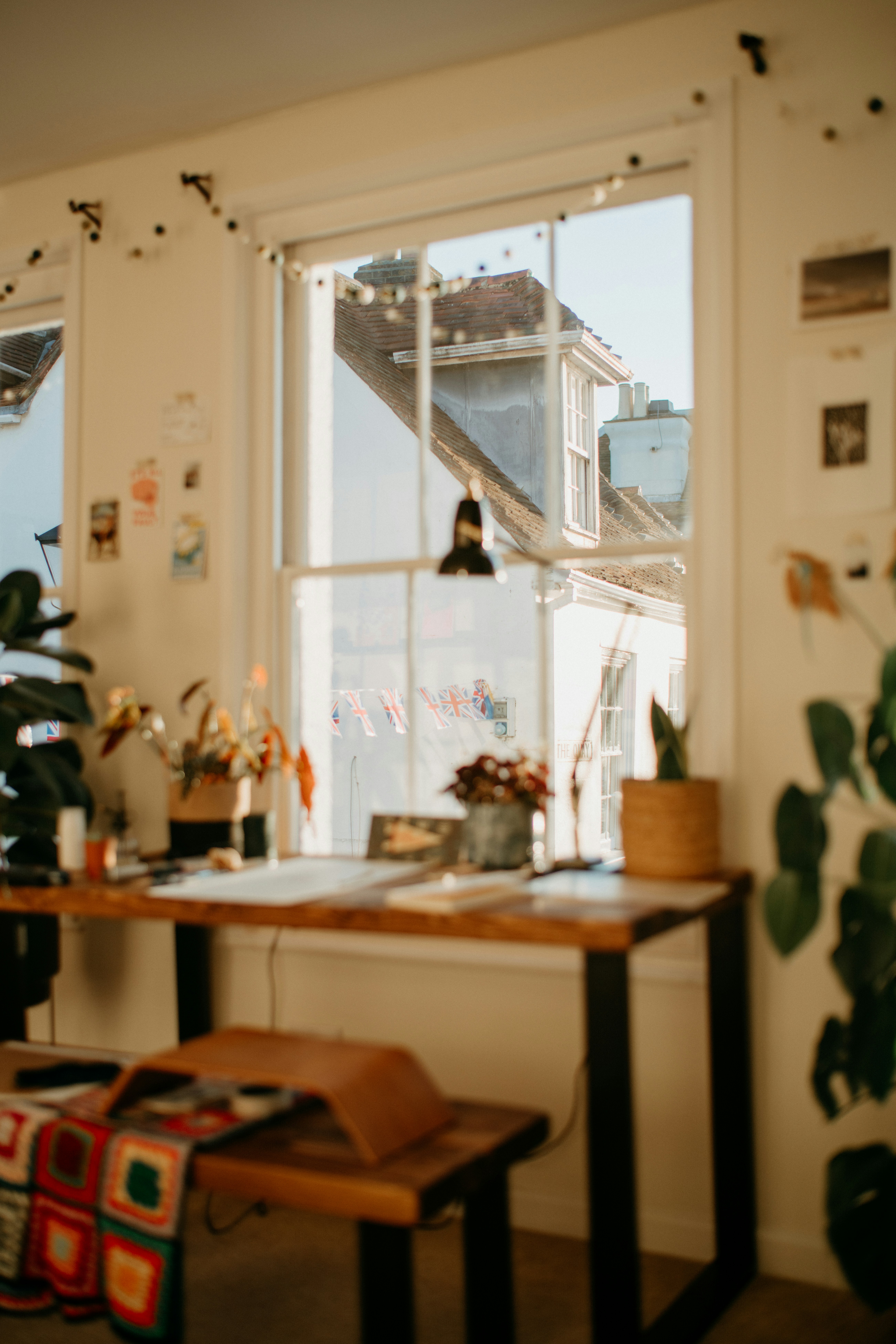 Photo by Annie Spratt with Nikon Z7