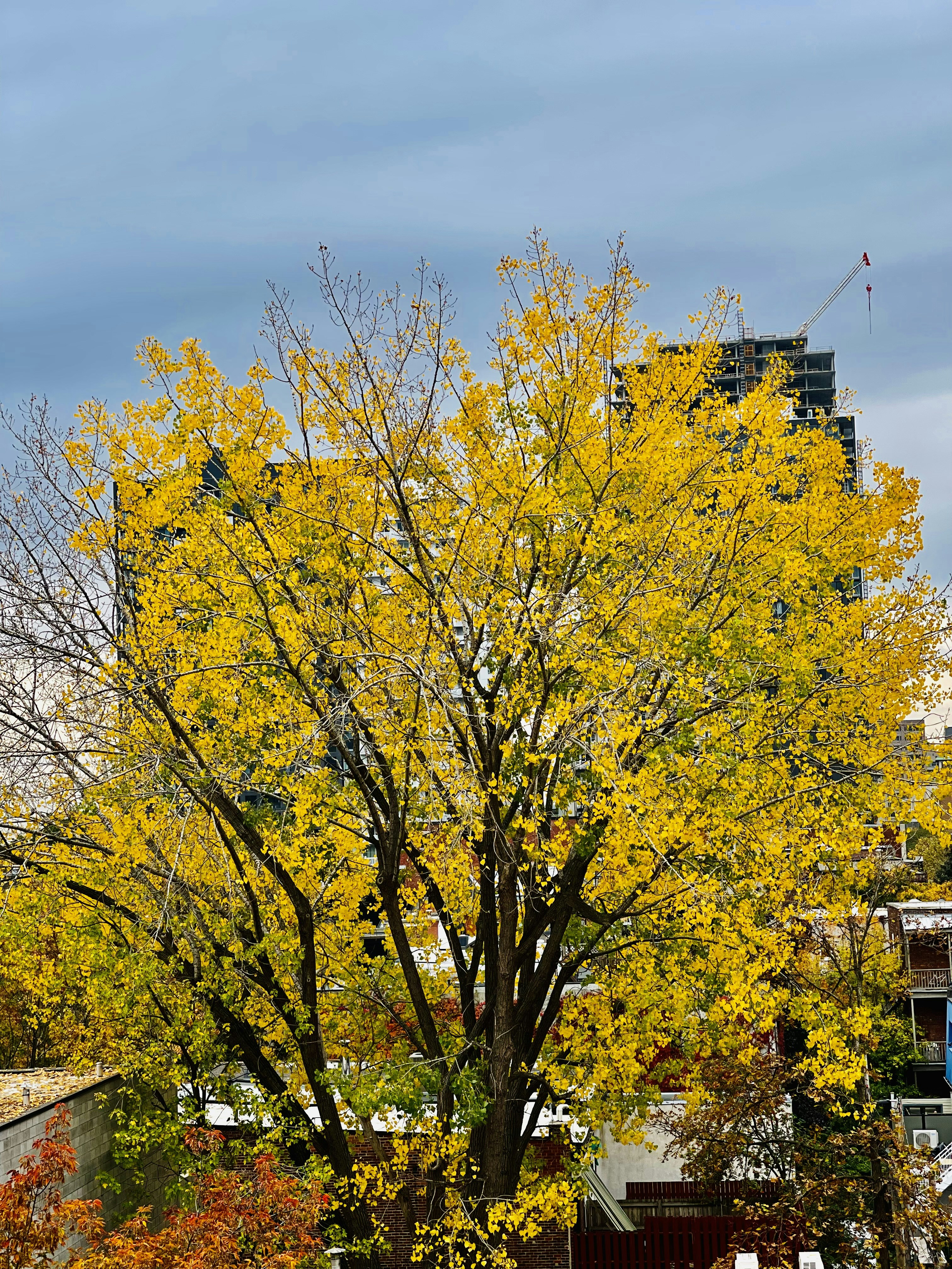 William Moses (@03williammoses) | Unsplash Photo Community