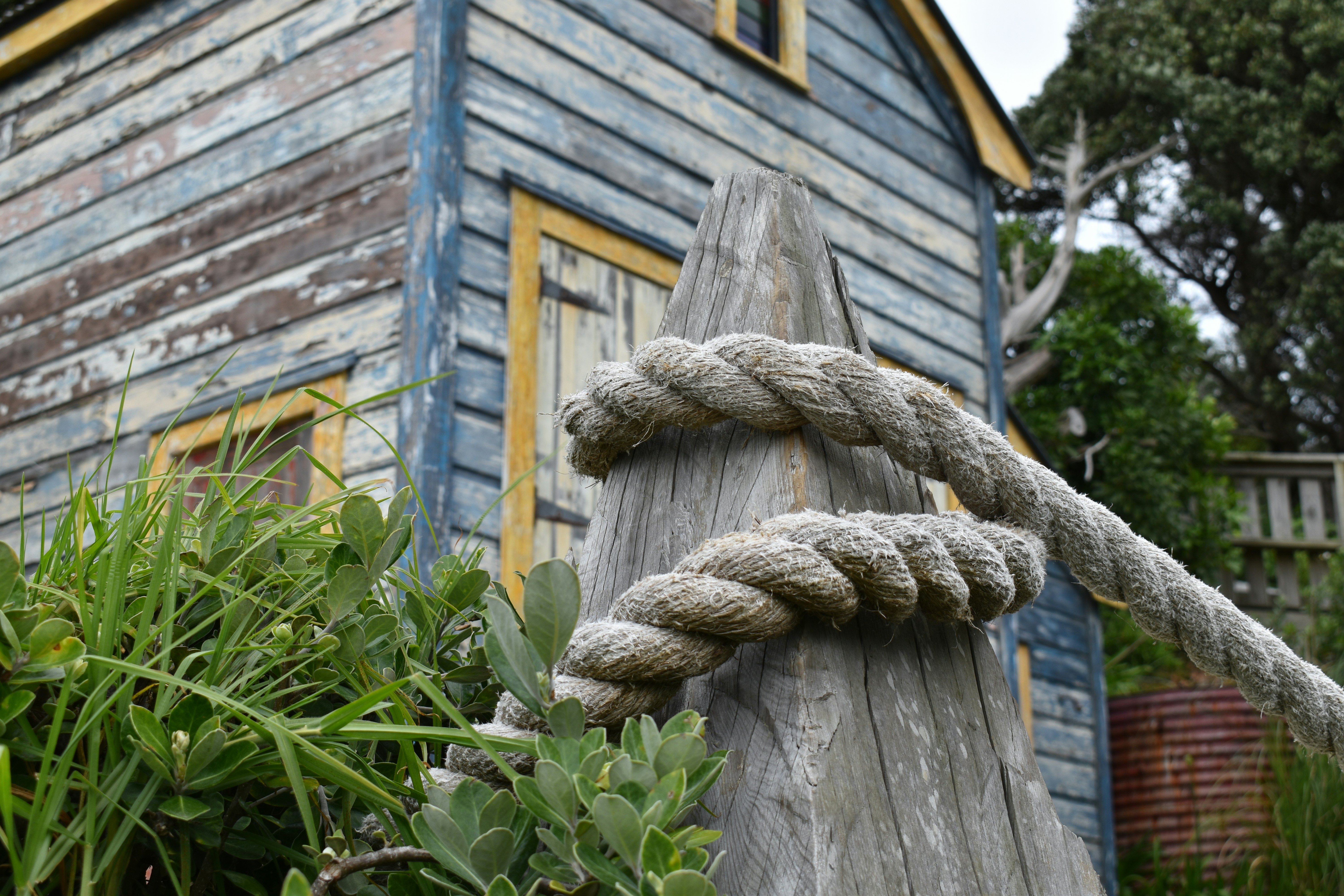 Rope-Wrapped Post Framing a Weathered Blue Cabin