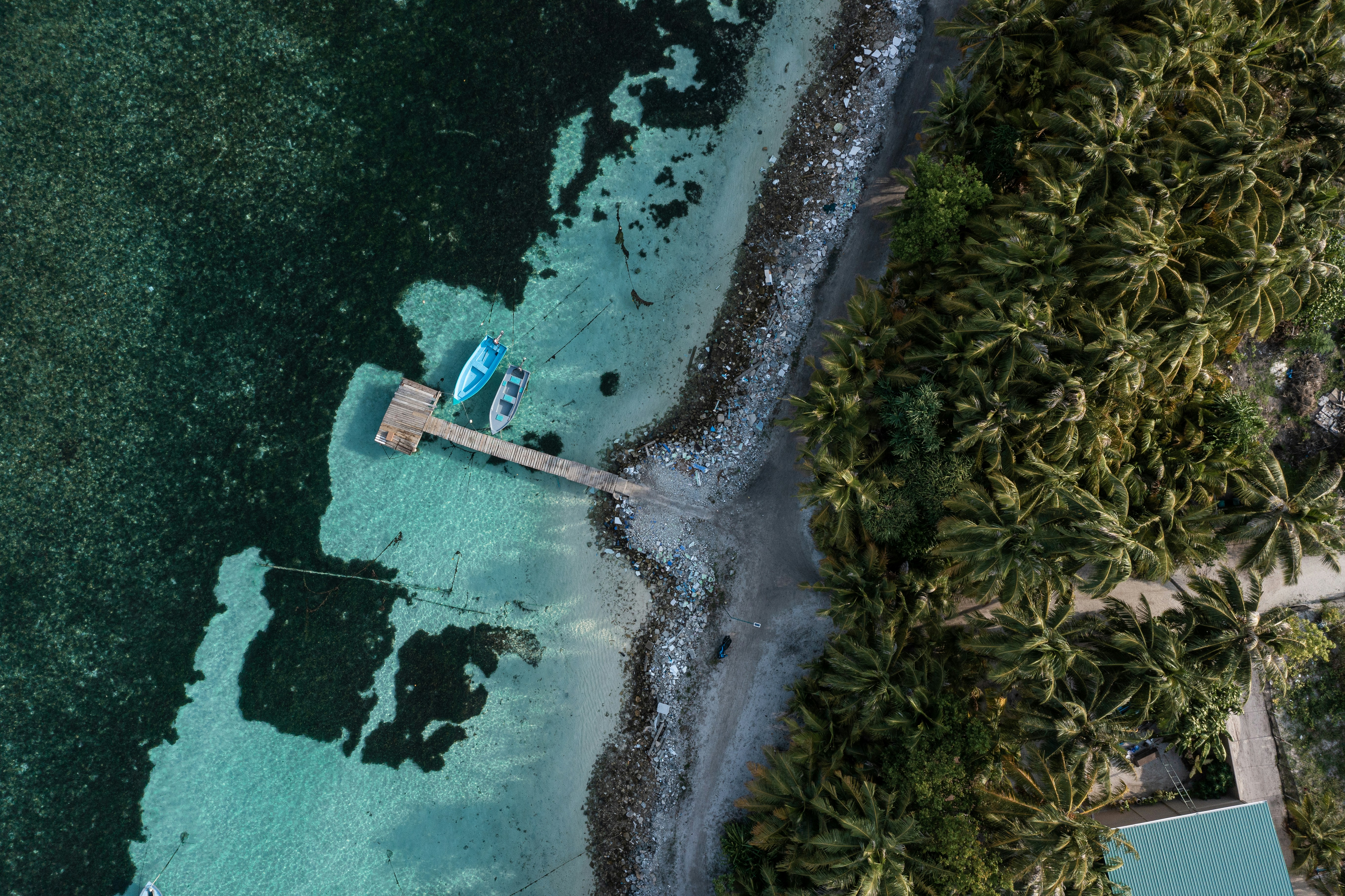 Azure Steps: A Distant Pier Fringed by Turquoise Waters and Palms