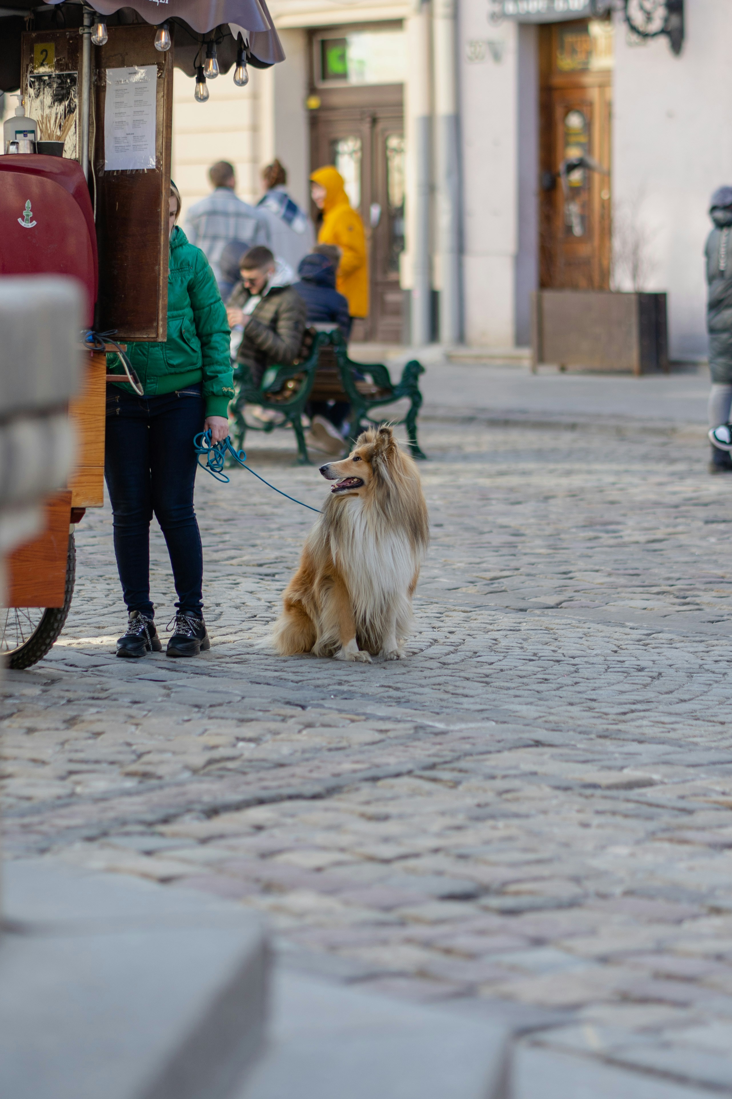 A person in a green jacket stands by a food cart, holding a leash attached to a fluffy dog, while people chat in the background. Cobblestone streets add charm to the urban scene.