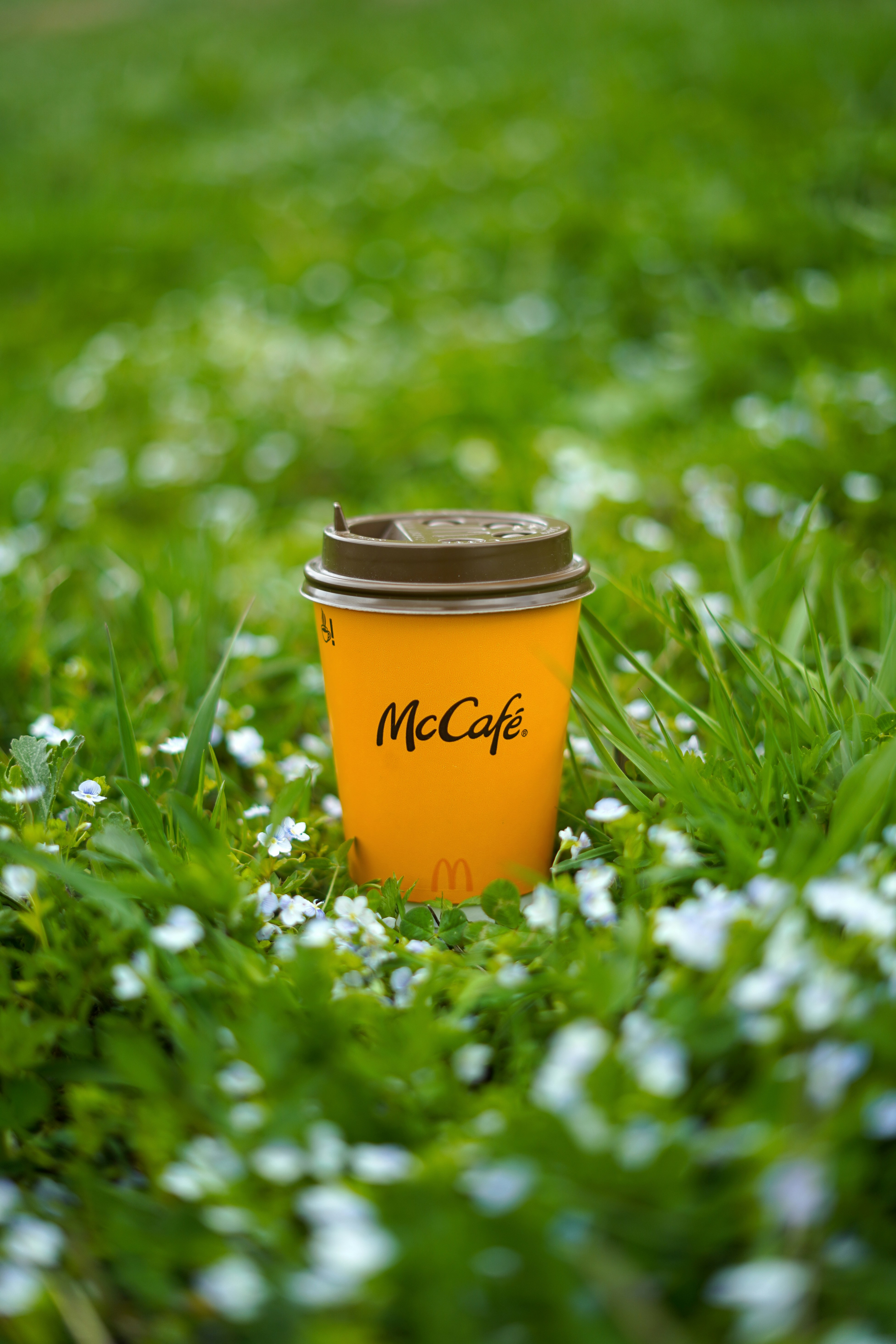 Orange McCafé Cup Emerges from a Carpet of White Wildflowers