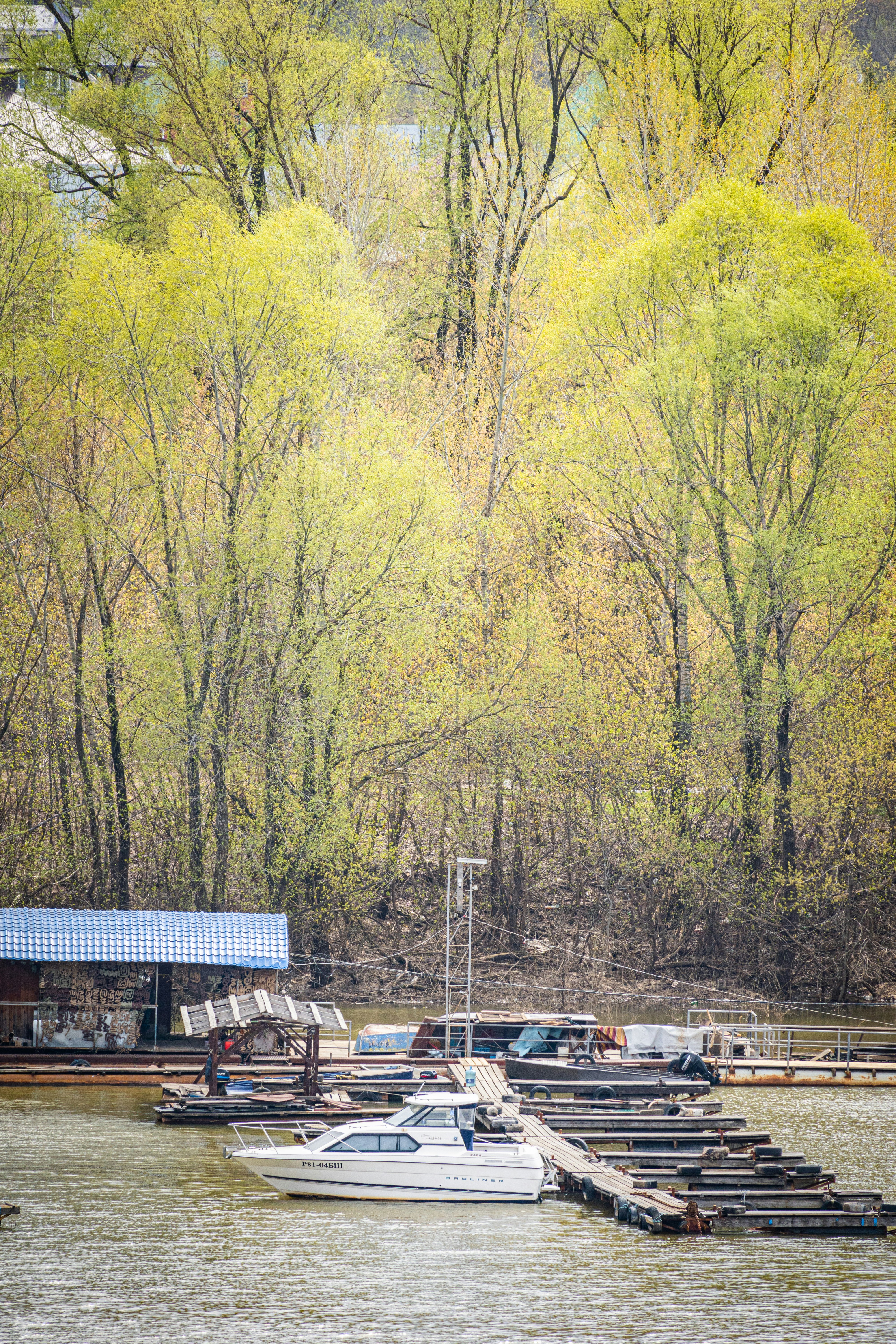 Spring Light on the Riverside Marina: Boats, Wood, and Green Canopy
