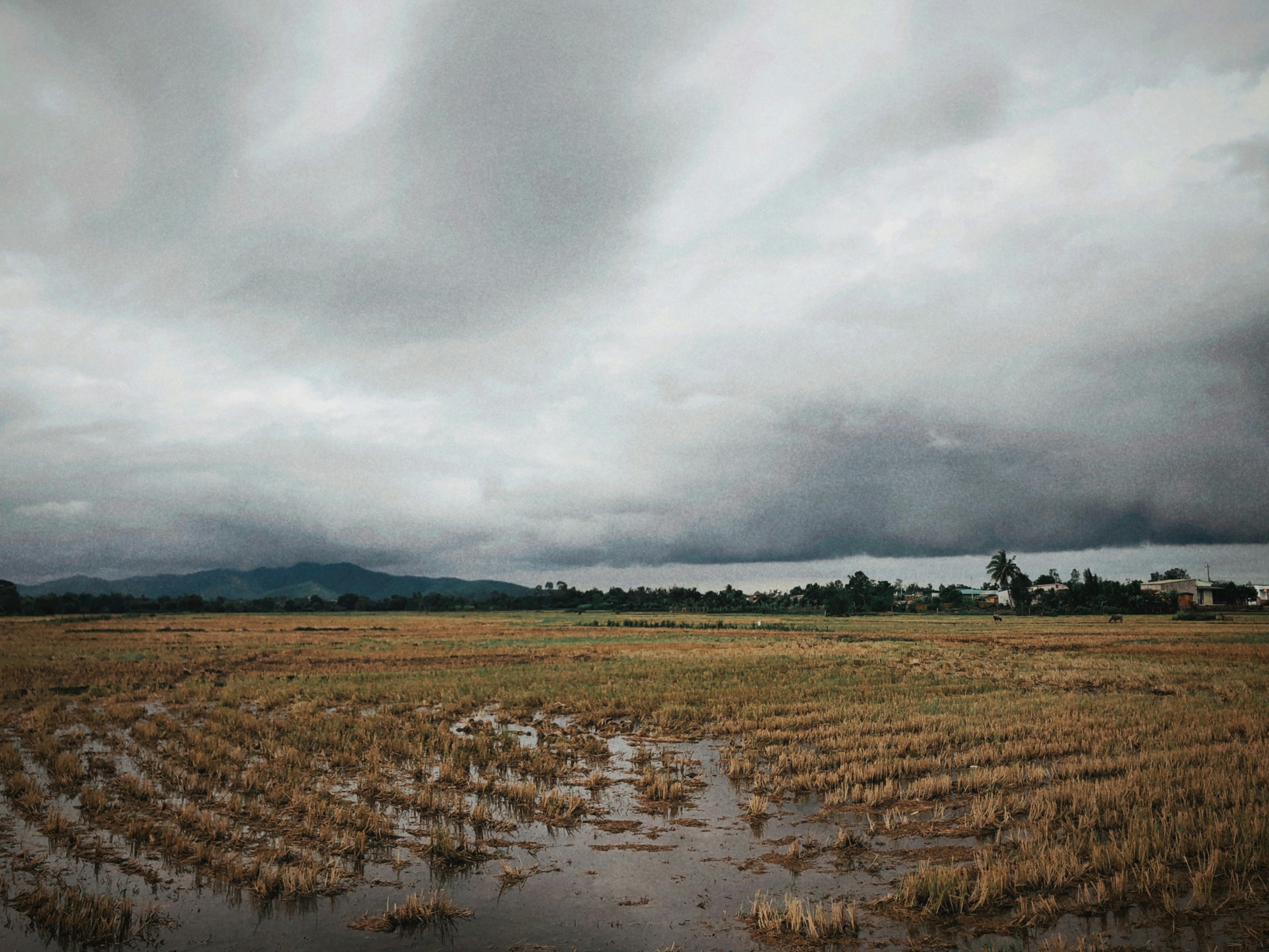 Horizon Looms Over Flooded Fields Beneath a Churning Sky