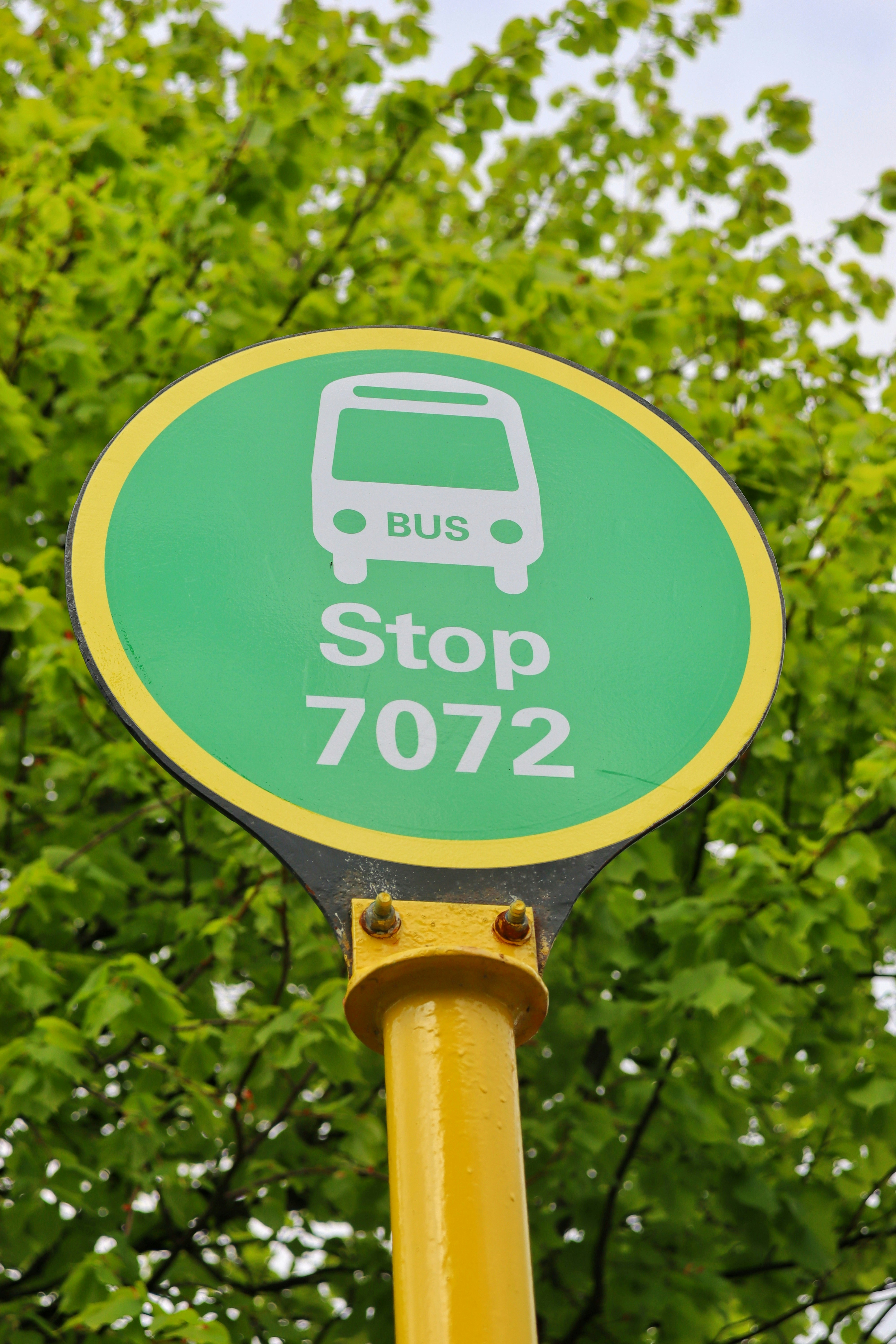 Stop 7072: A Green Circular Bus Sign Framed by Spring Foliage