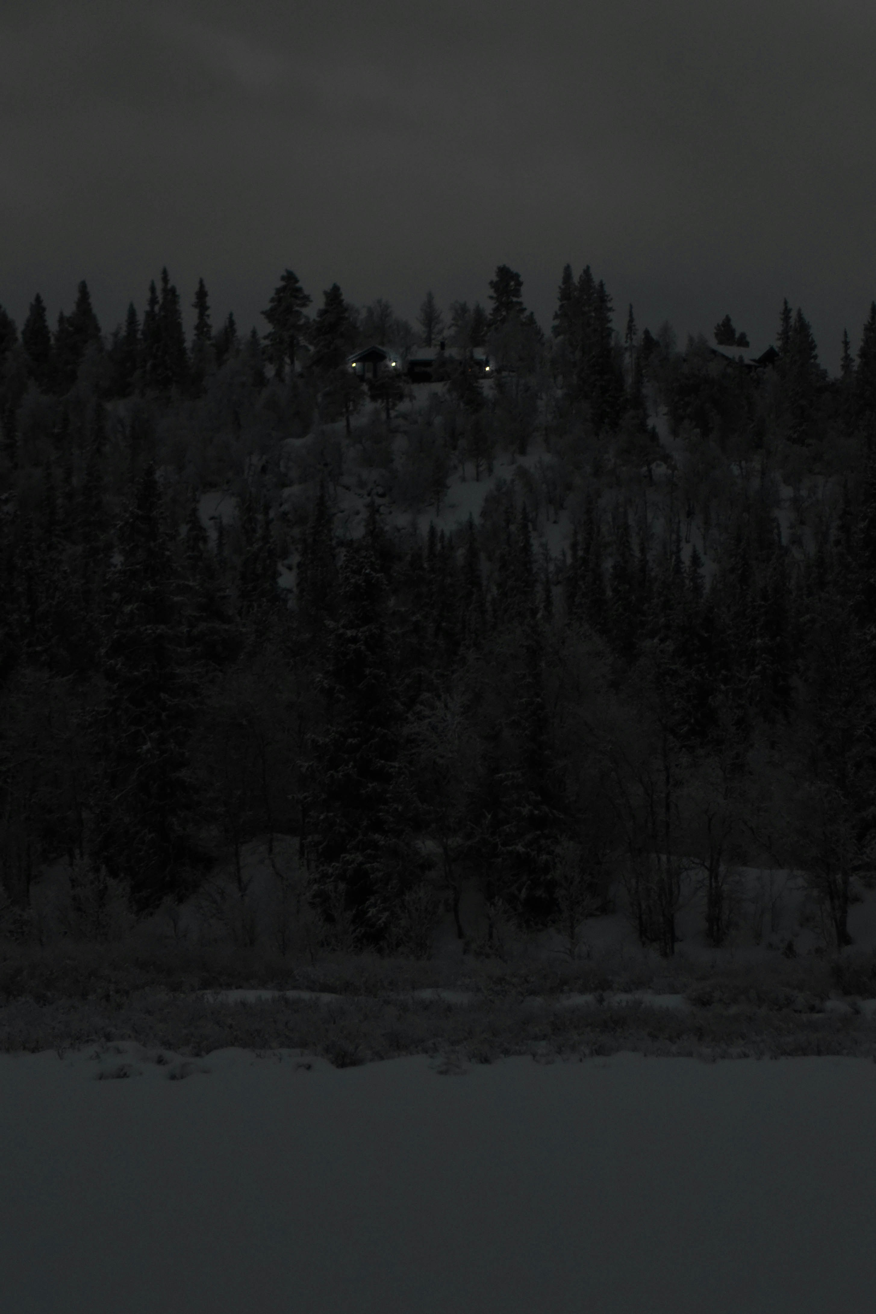 A secluded cabin perched atop a snowy hillside, surrounded by towering evergreens under a twilight sky.