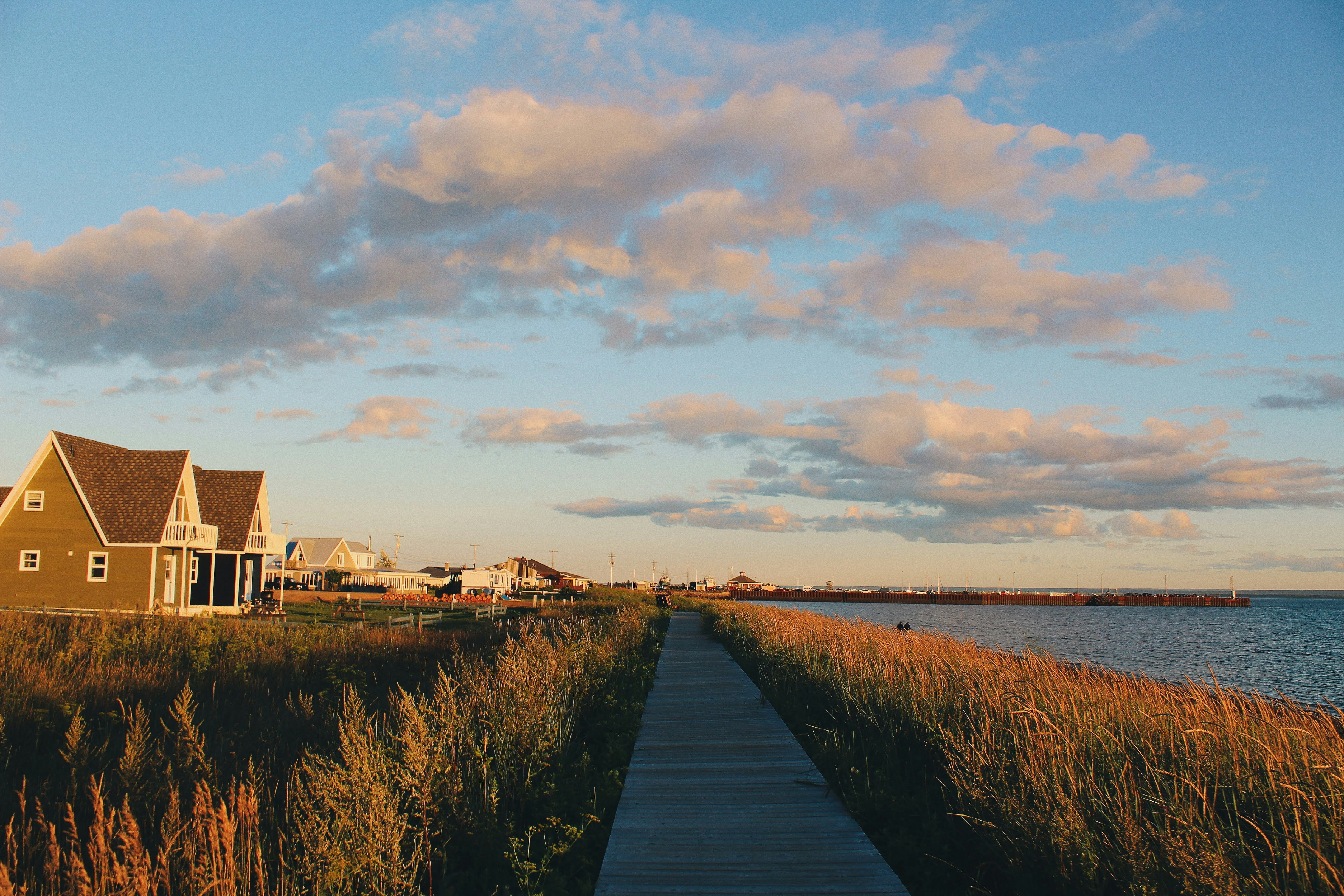 Horizon Walk: A Coastal Boardwalk Between Golden Grasses and Quiet Homes