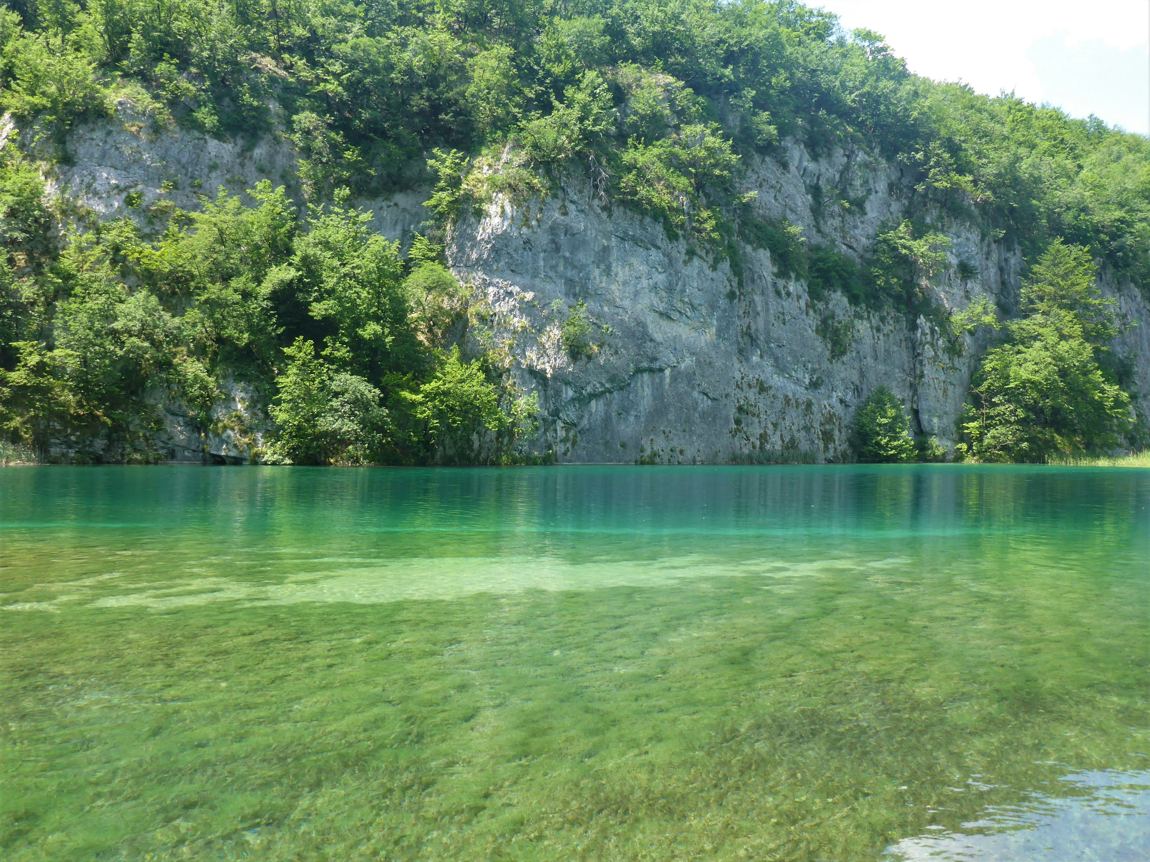 Crystal-clear lake with lush greenery and rocky cliffs in Plitvice Lakes National Park.