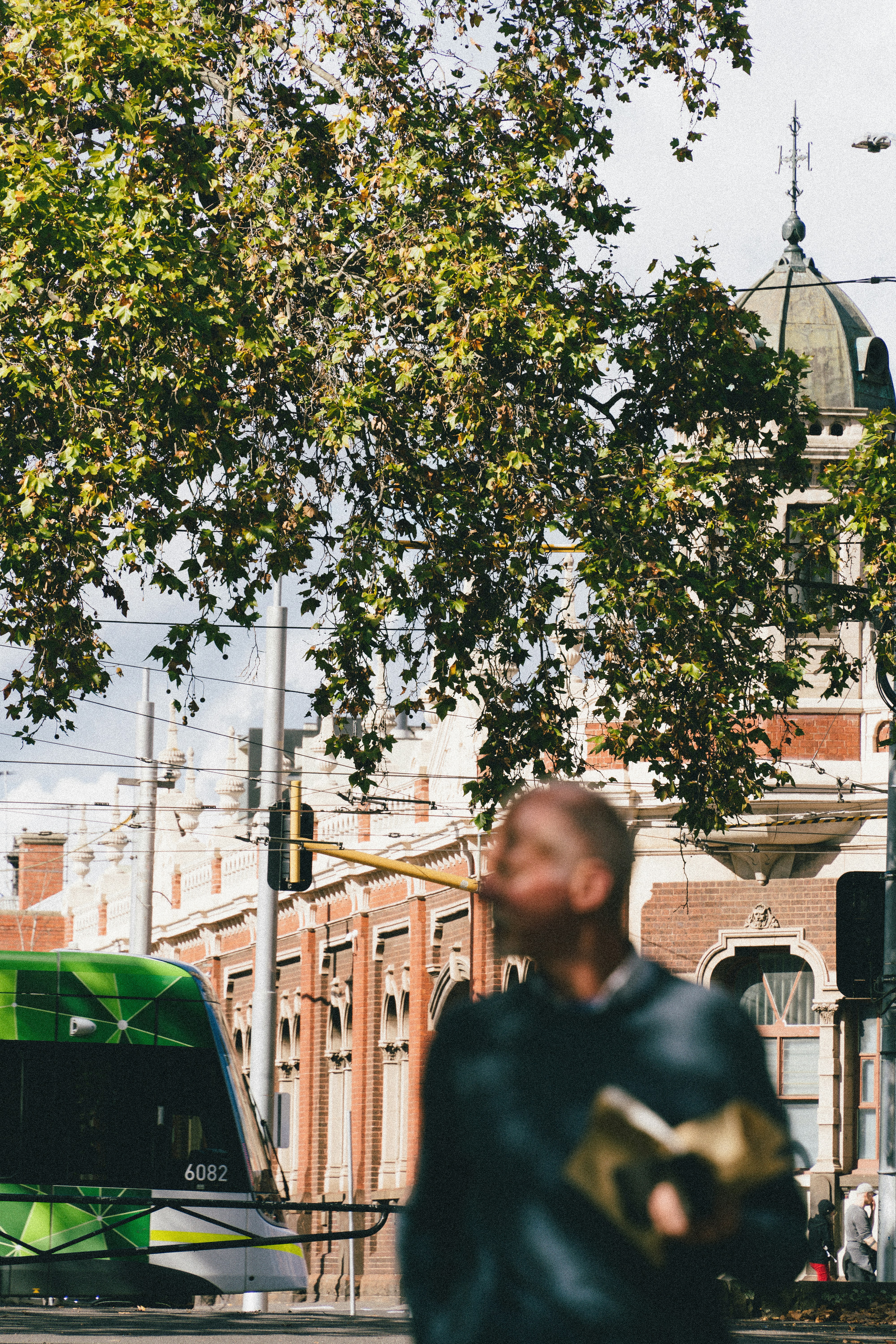 Motion Through the City: A Leaf-Framed Streetcar Moment